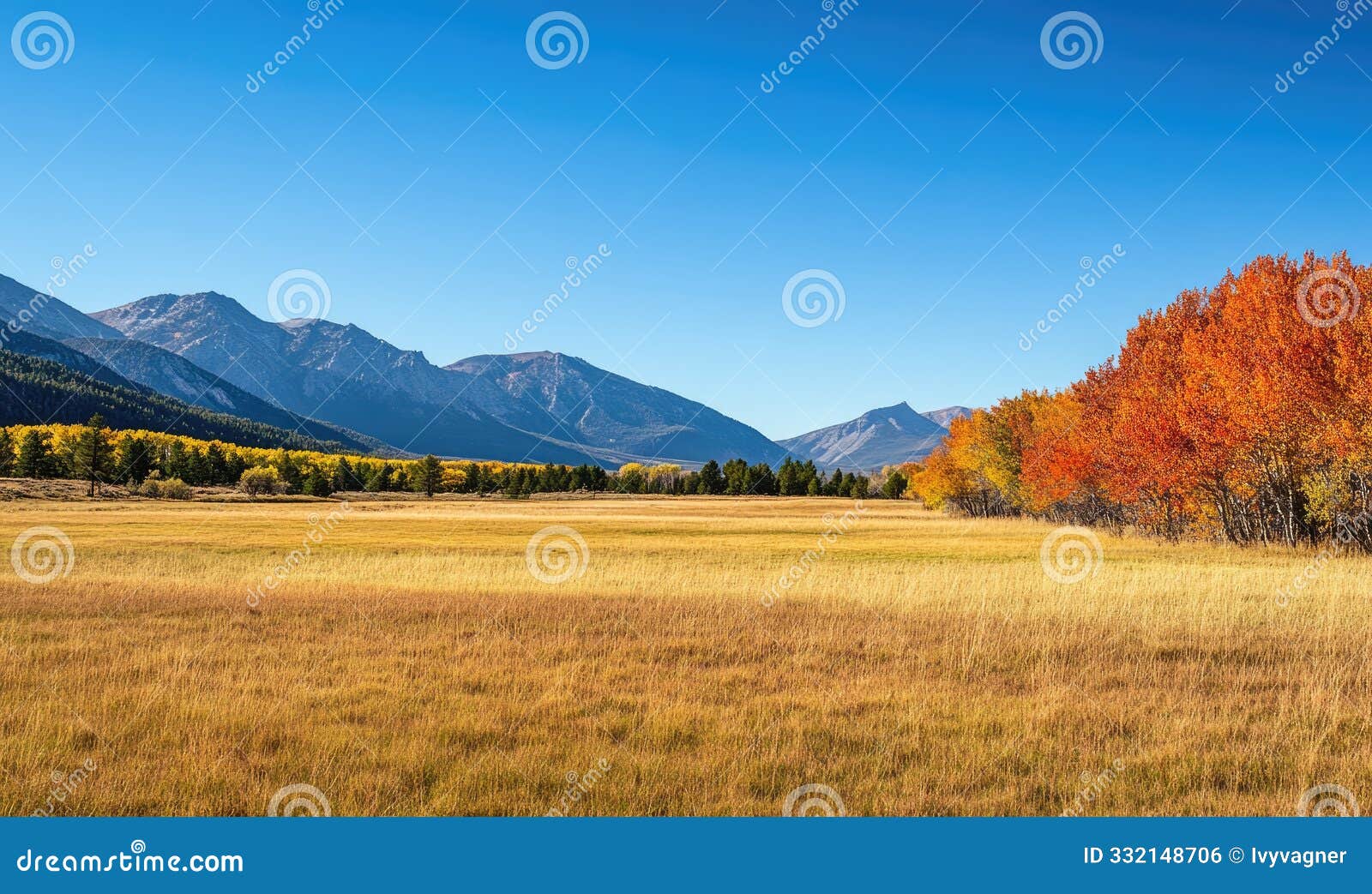Scenic Fall Scenery, Open Field, Colorful Trees, Distant Mountains ...