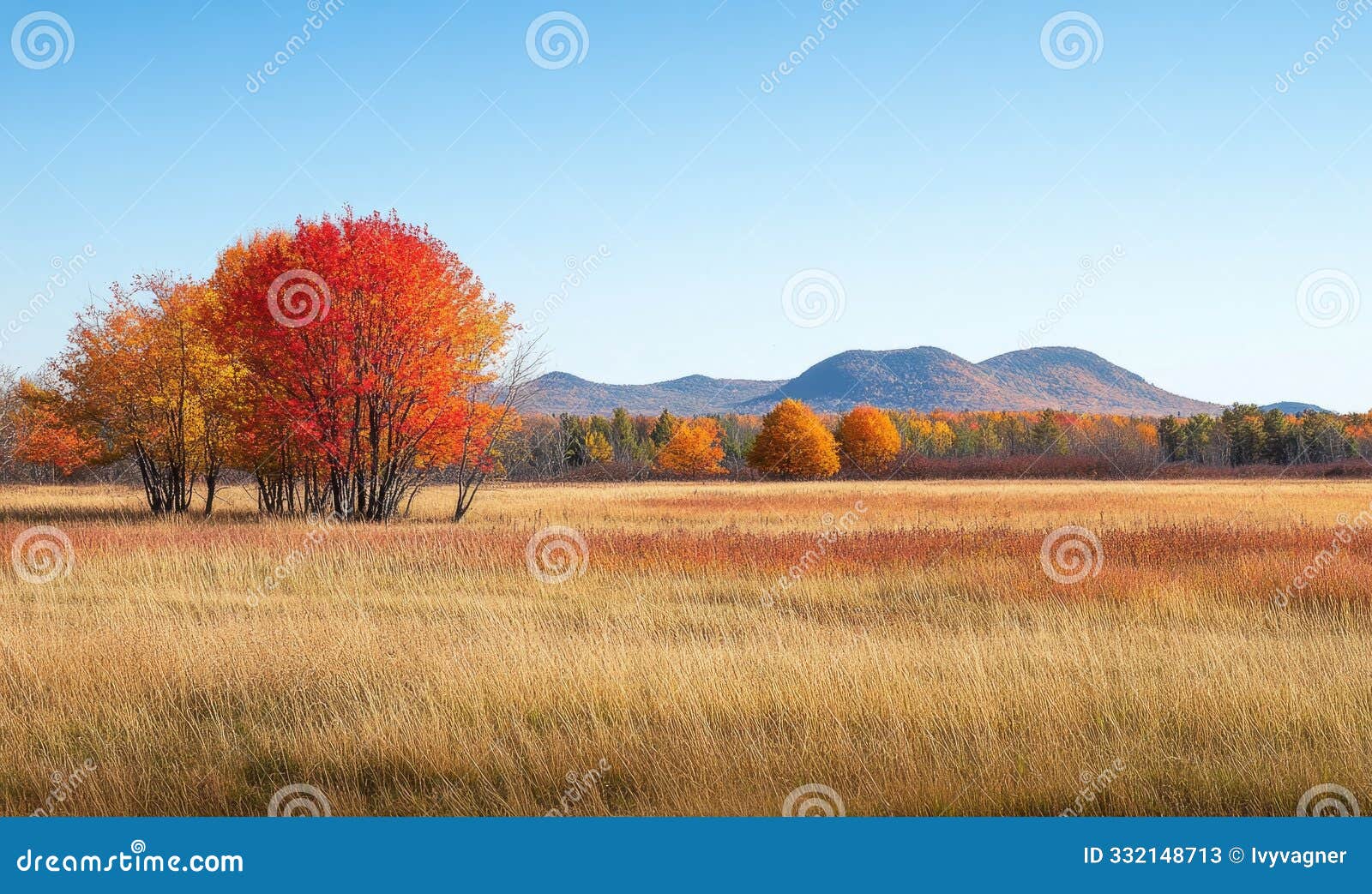 Scenic Fall Scenery, Open Field, Colorful Trees, Distant Mountains ...