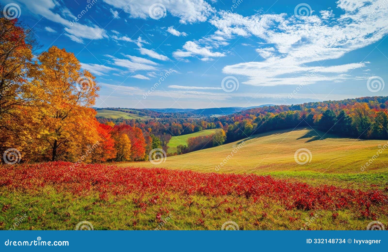 Scenic Fall Scenery, Open Field, Colorful Trees, Distant Mountains ...