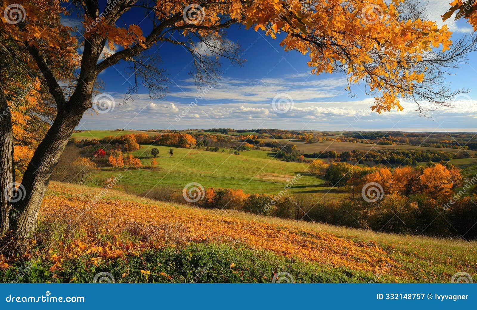 Scenic Fall Scenery, Open Field, Colorful Trees, Distant Mountains ...