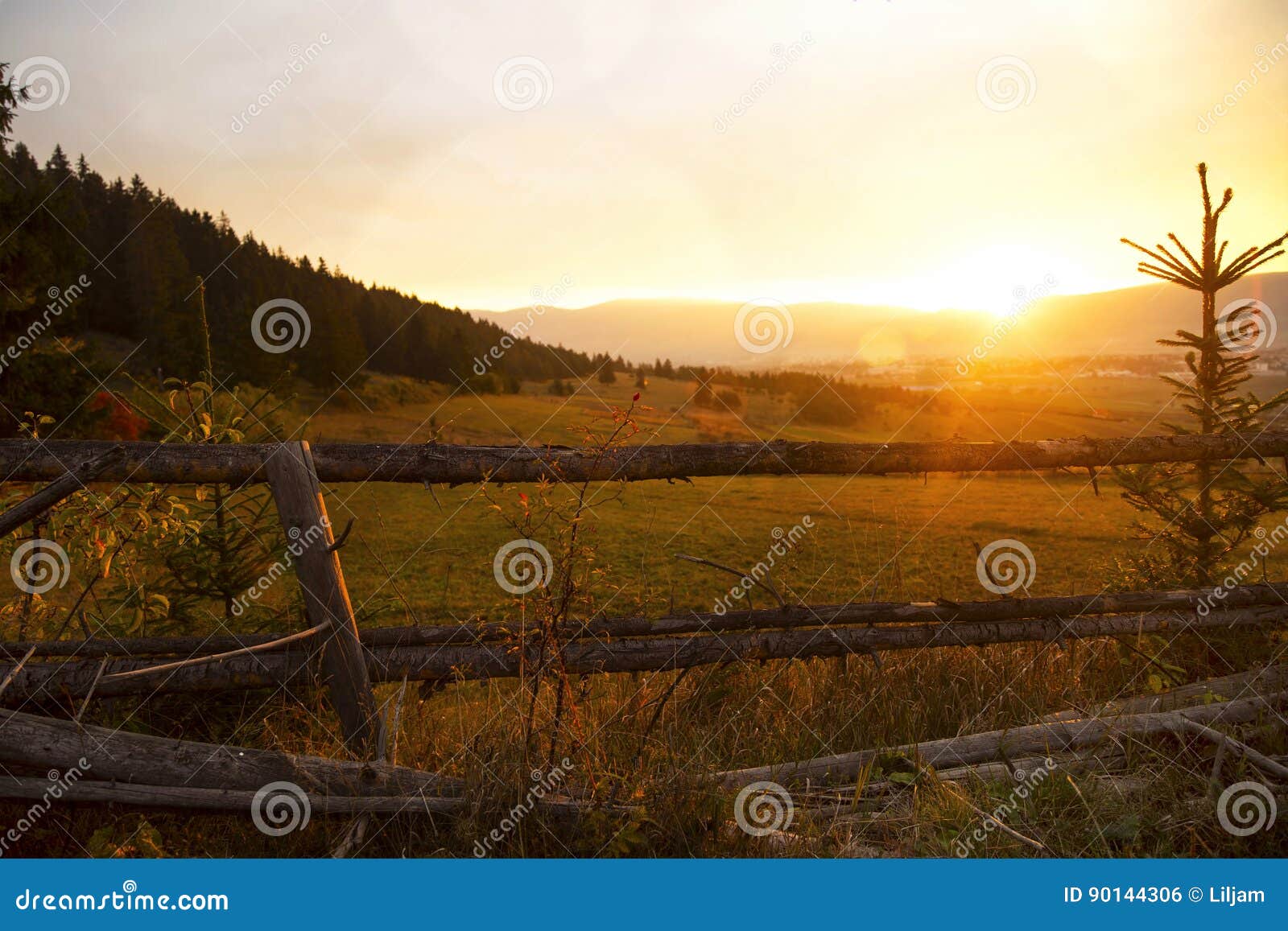 Scenic Fall Sunset Over Meadow Stock Photo - Image of morning, forest ...