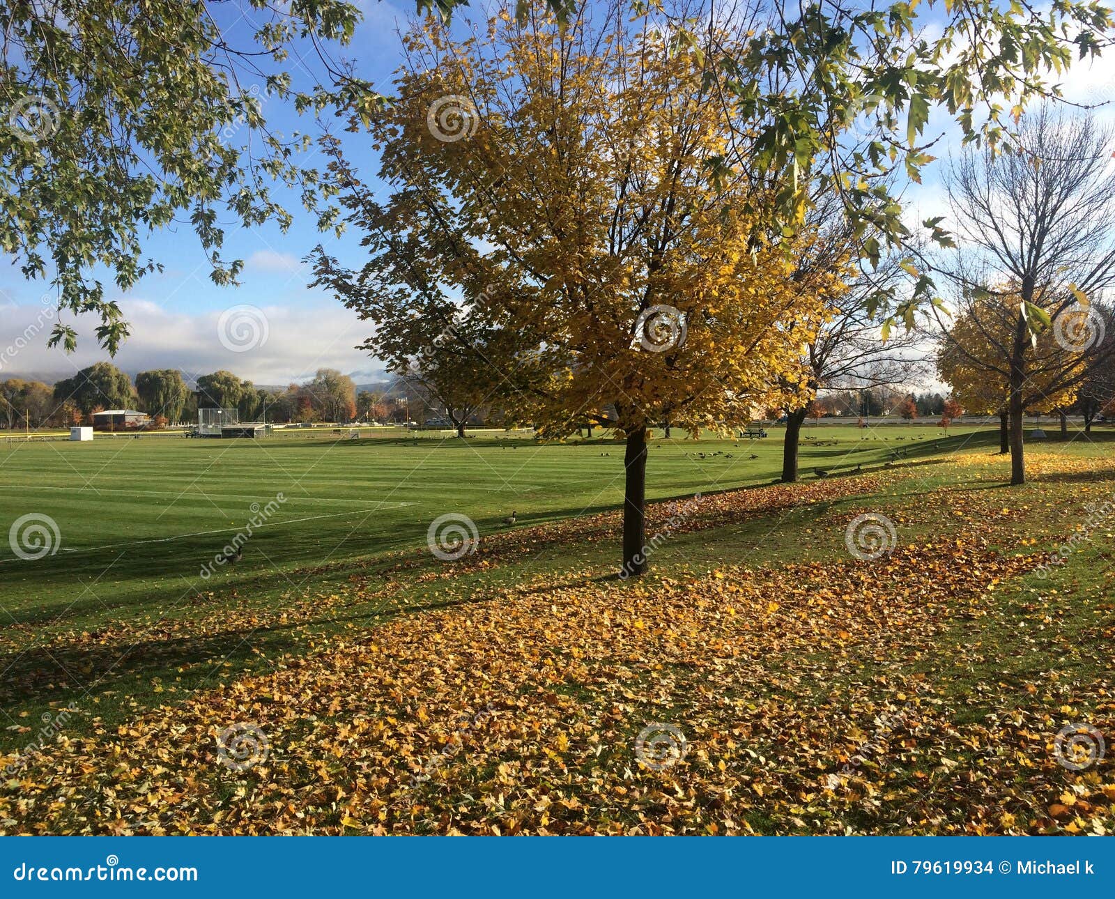 Scenic Fall Walk at the Park Stock Photo - Image of wilderness, fall ...