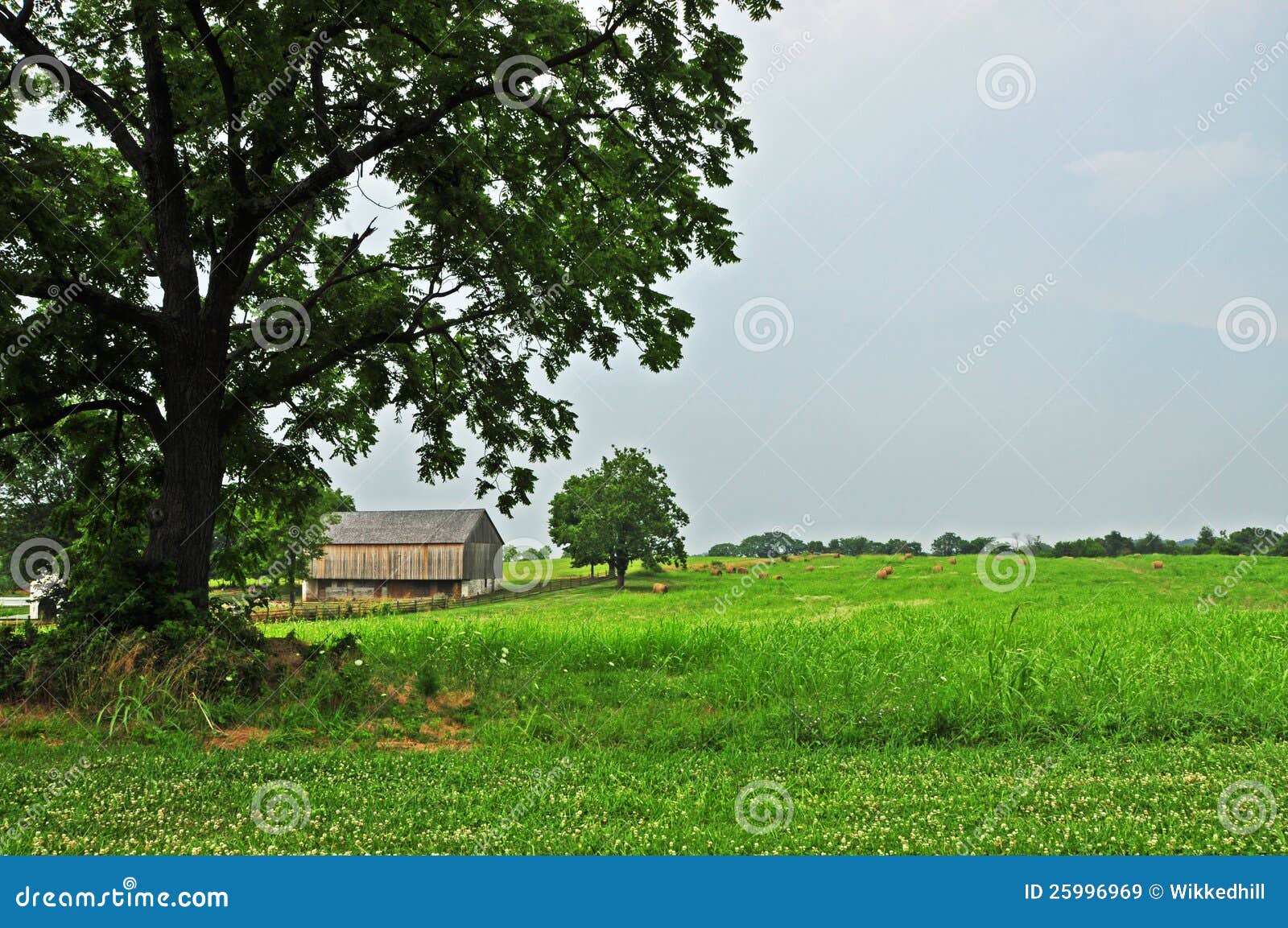Scenic Farm stock image. Image of fields, barn, sharpsburgh - 25996969