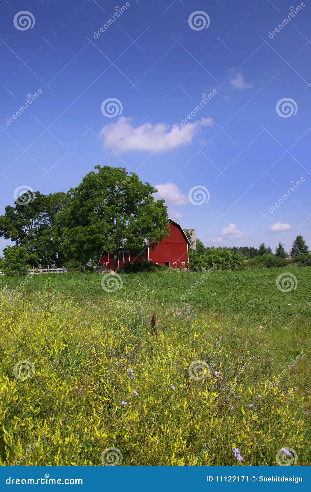 Scenic Farm Lands with Barn Stock Image - Image of building, hills ...