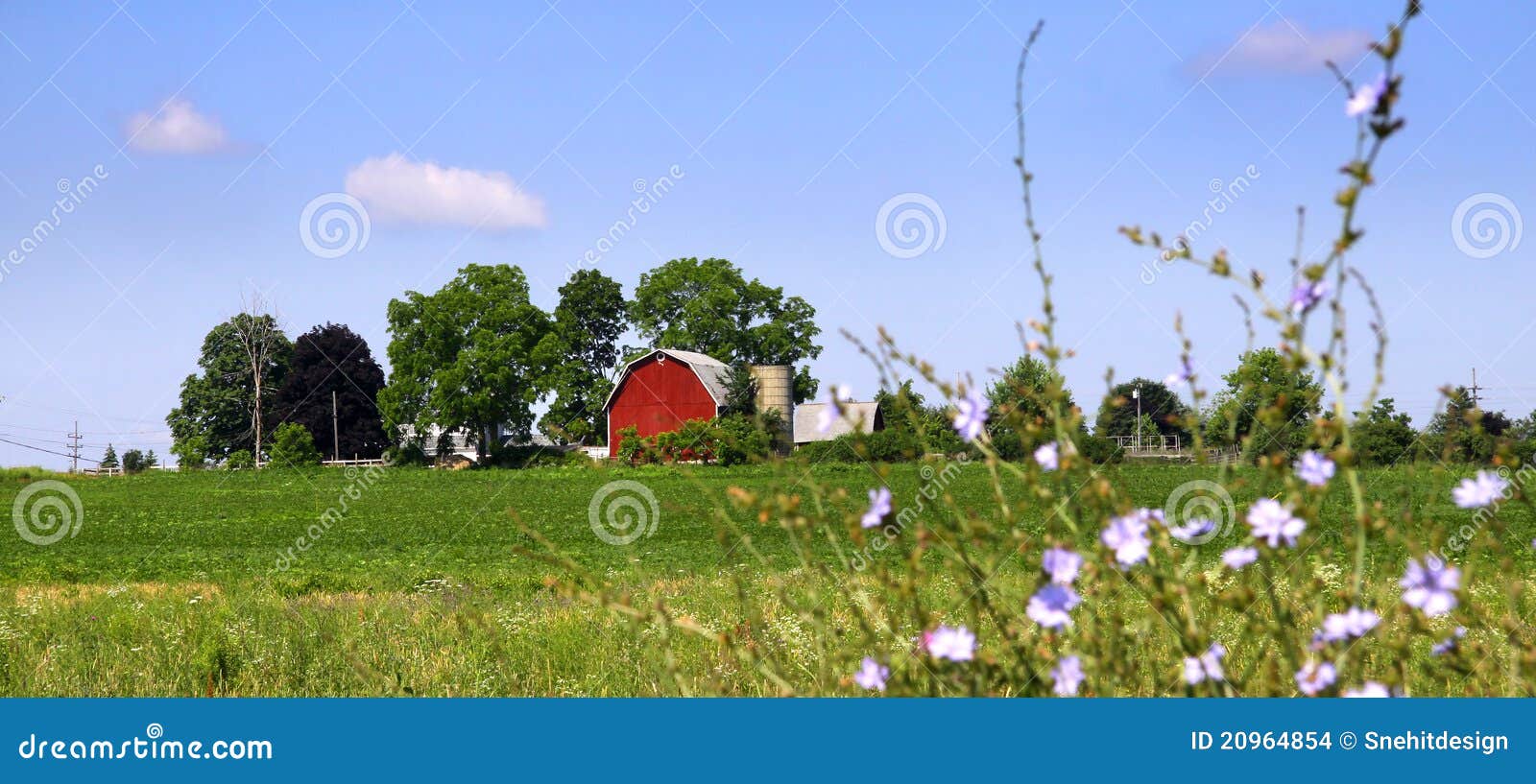 Scenic farm landscape stock photo. Image of rural, spring - 20964854