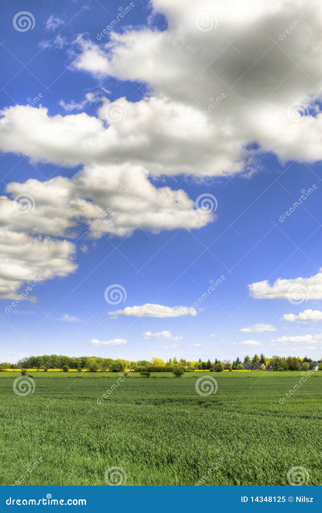 Scenic Field with Blue Sky - HDR Stock Image - Image of meadow, cloudy ...