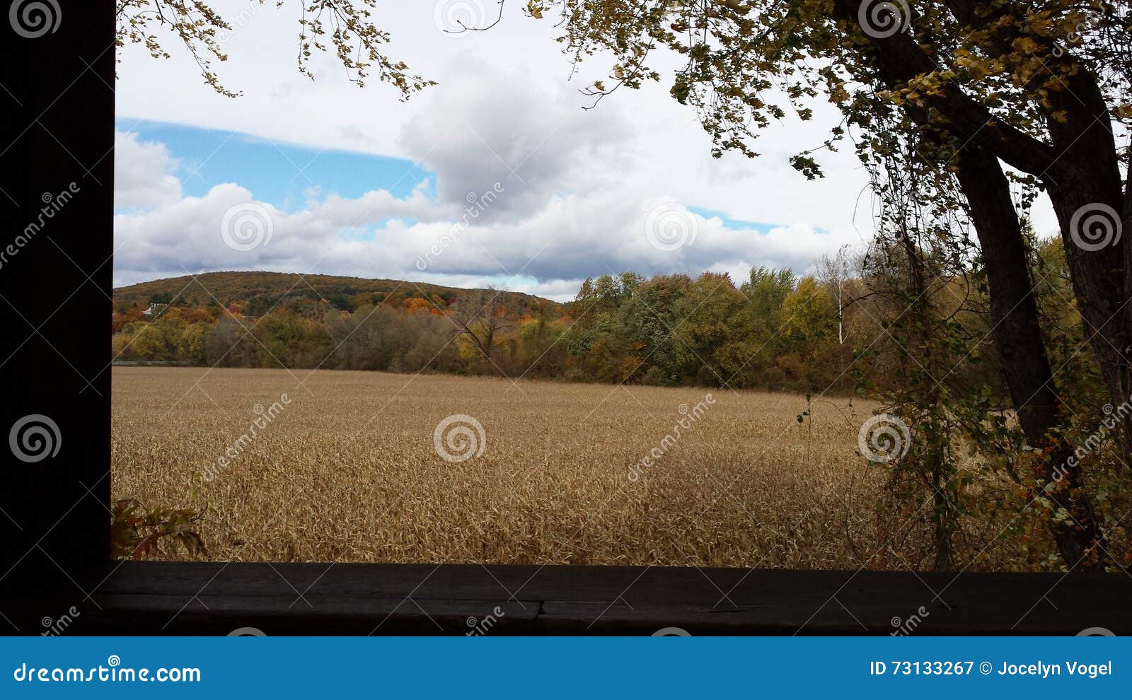 Scenic field stock image. Image of scenic, landscape - 73133267