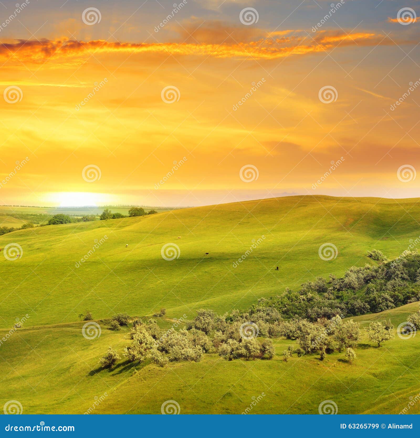 Scenic Fields, Hills and Sunrise Stock Image - Image of morning, beauty ...