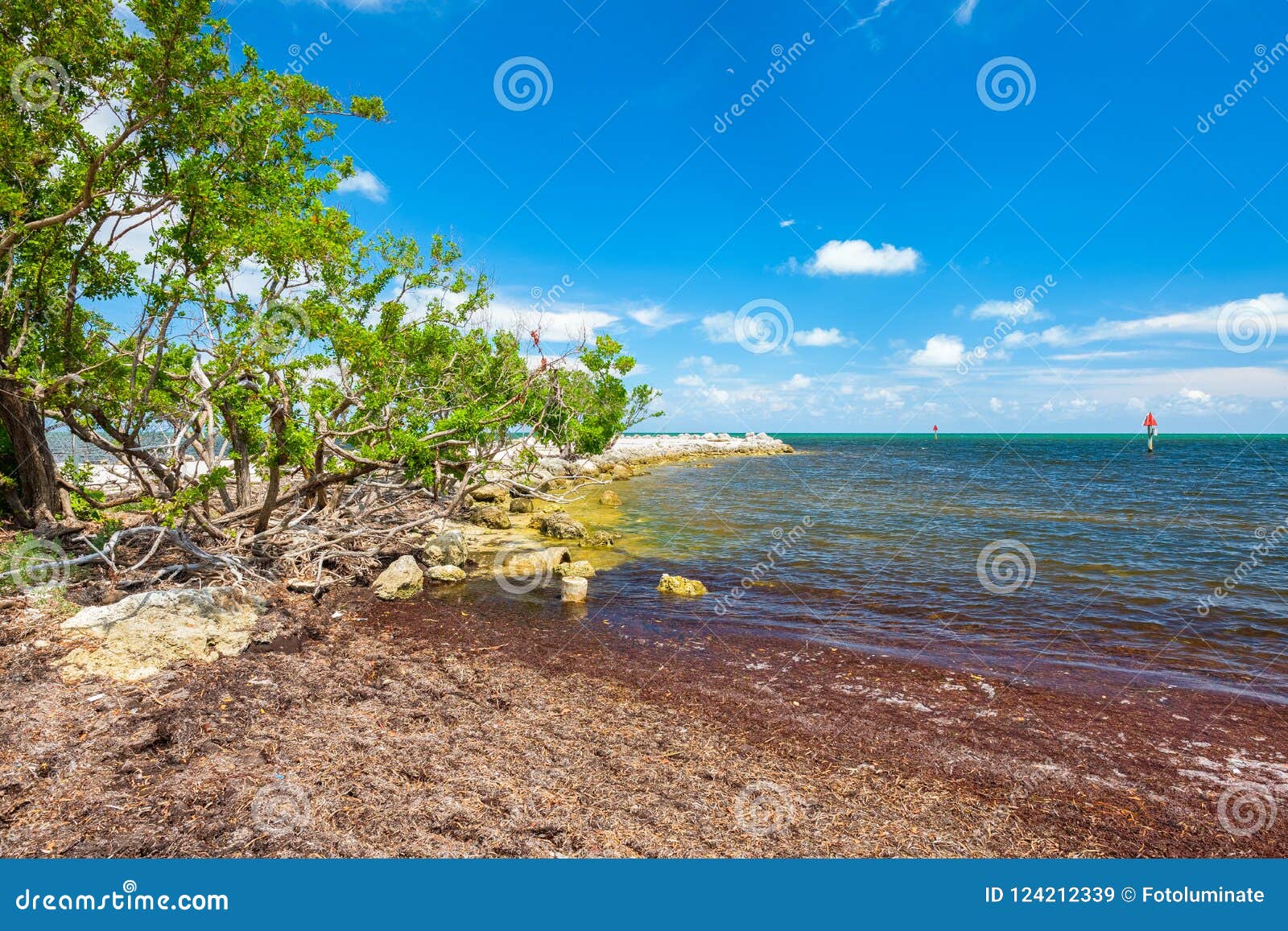 Scenic Florida Keys stock image. Image of nature, clouds - 124212339