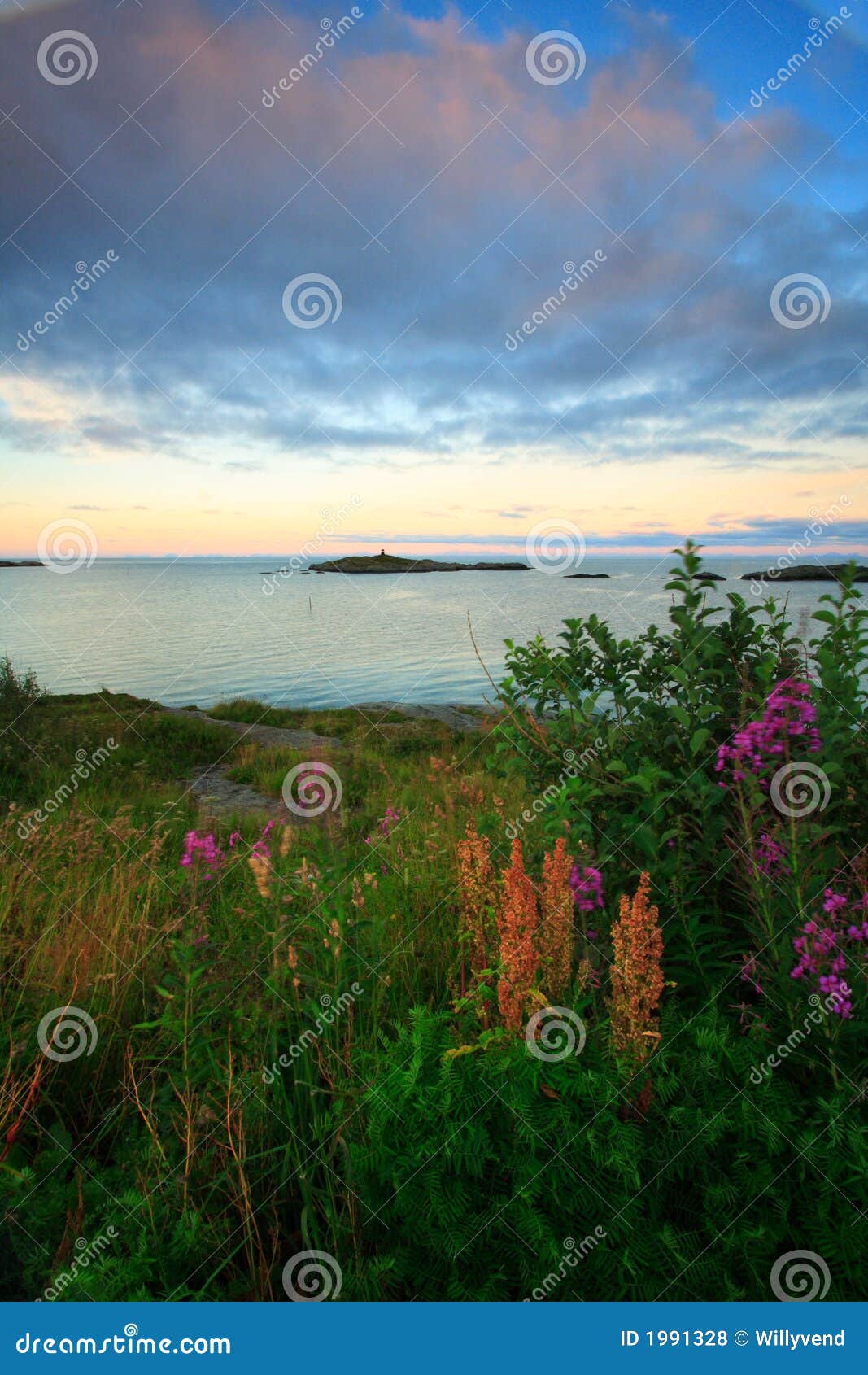 Scenic flowered landscape stock photo. Image of dramatic - 1991328
