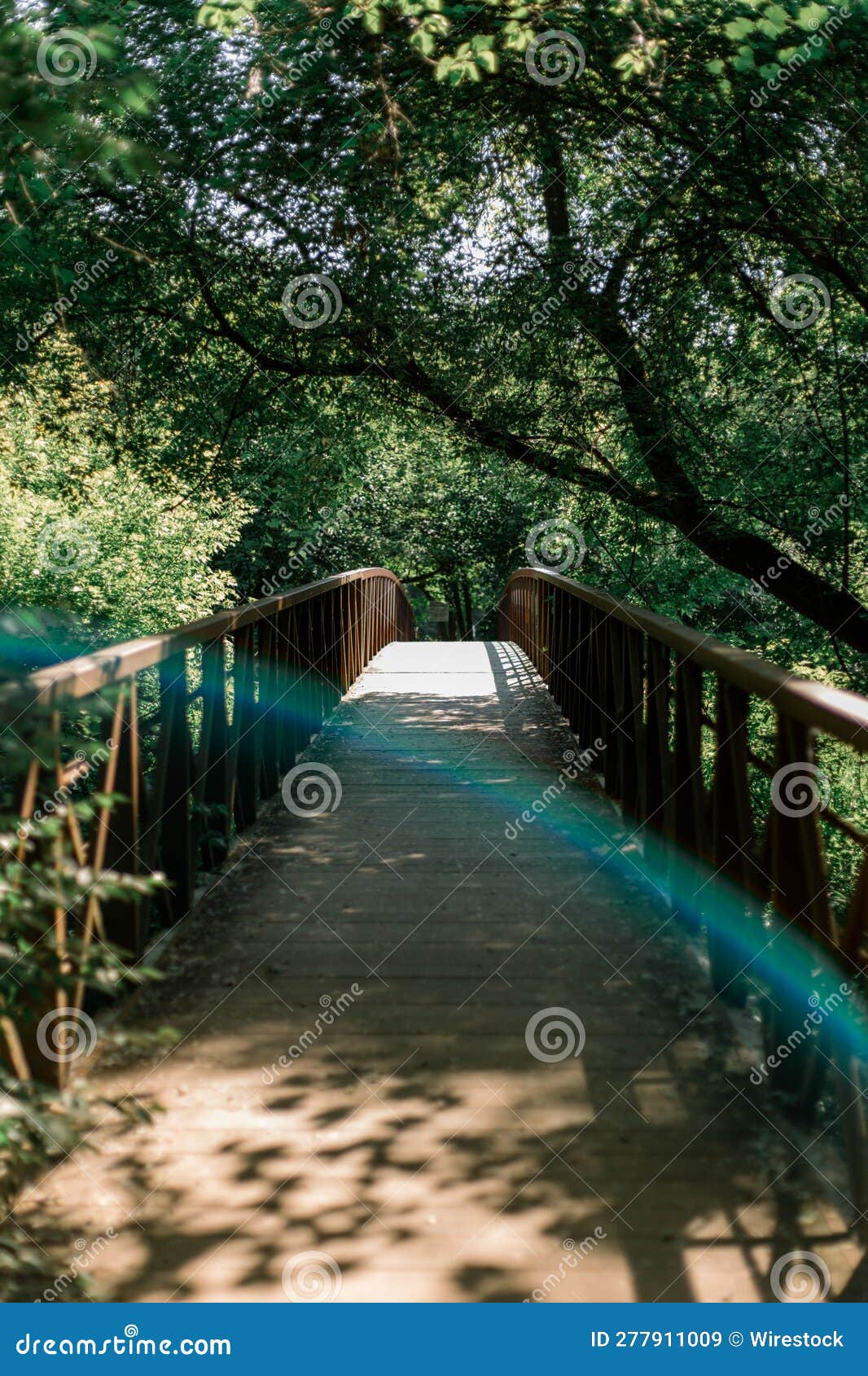Scenic Footbridge in a Tranquil Forest Setting, Leading To a Path ...