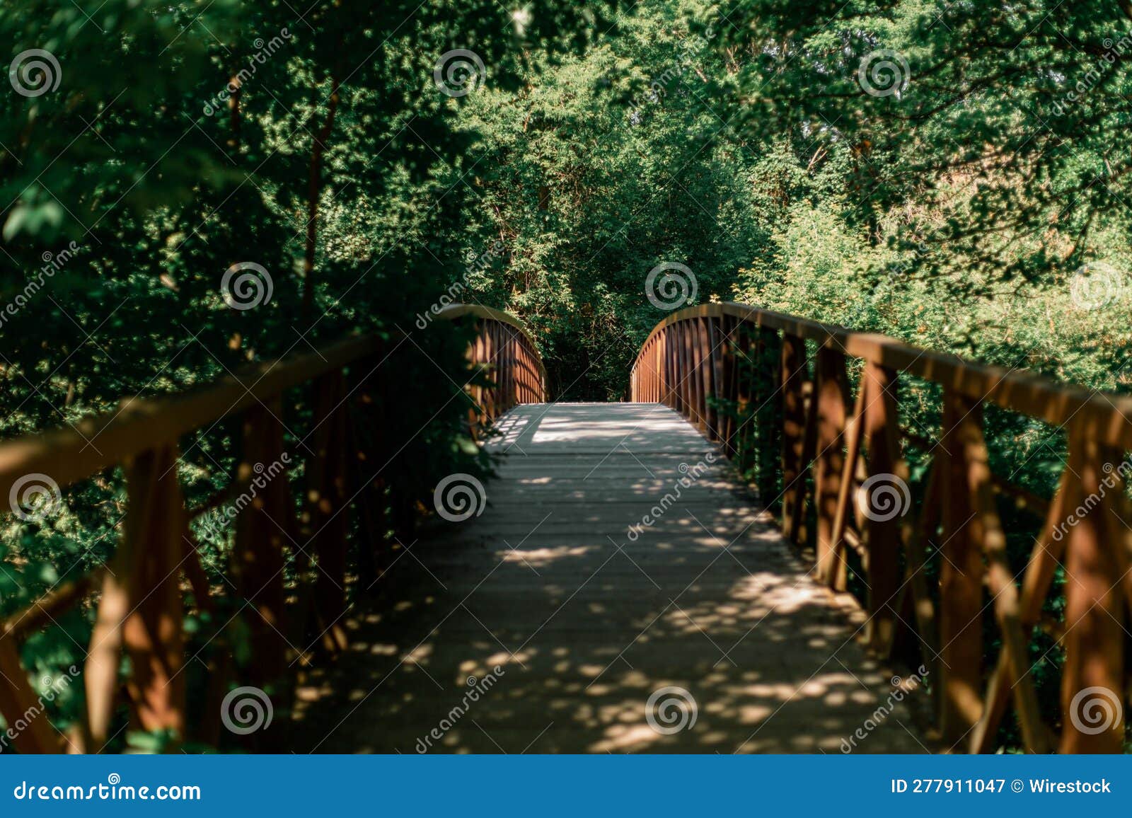 Scenic Footbridge in a Tranquil Forest Setting, Leading To a Path ...