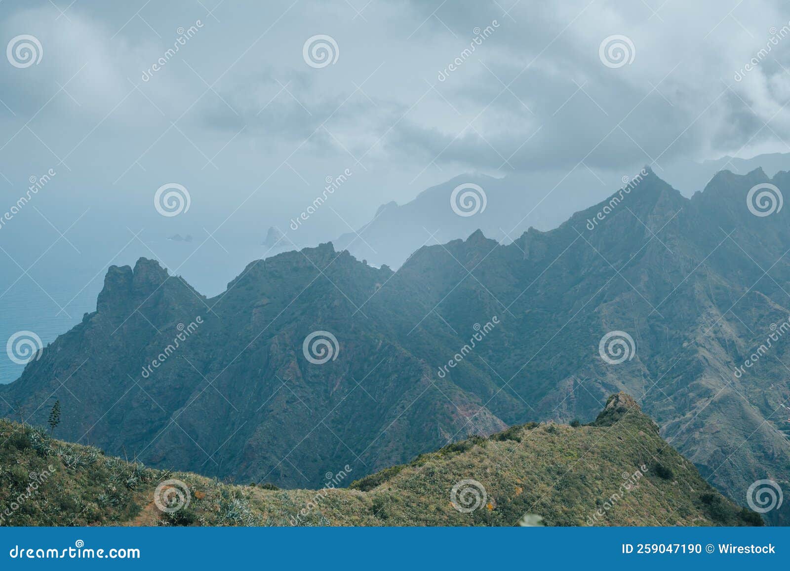 Scenic Forest on the Slope of a Mount Stock Photo - Image of mist ...