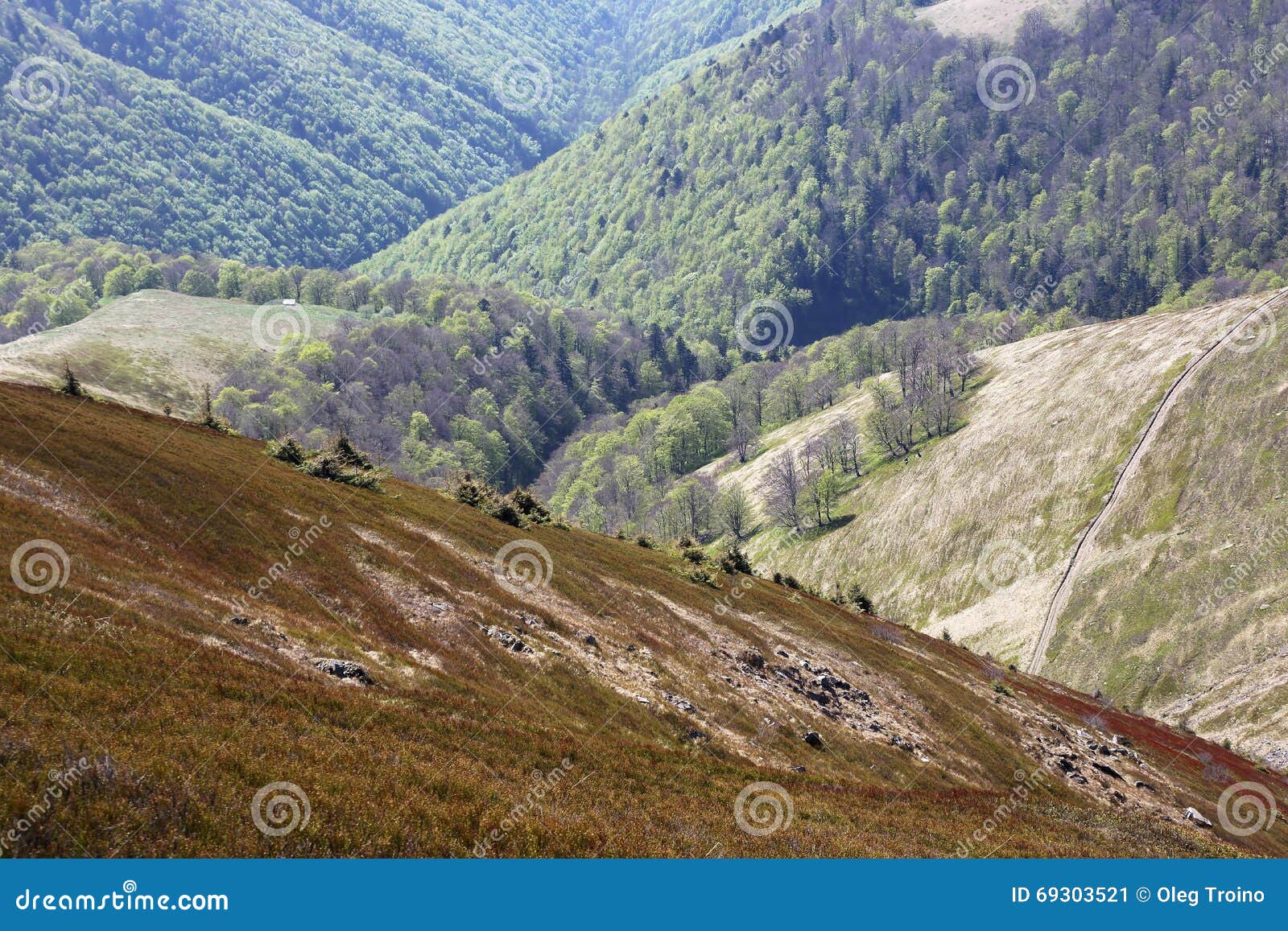 Scenic Forest Slopes of the Mountainous Terrain Stock Image - Image of ...