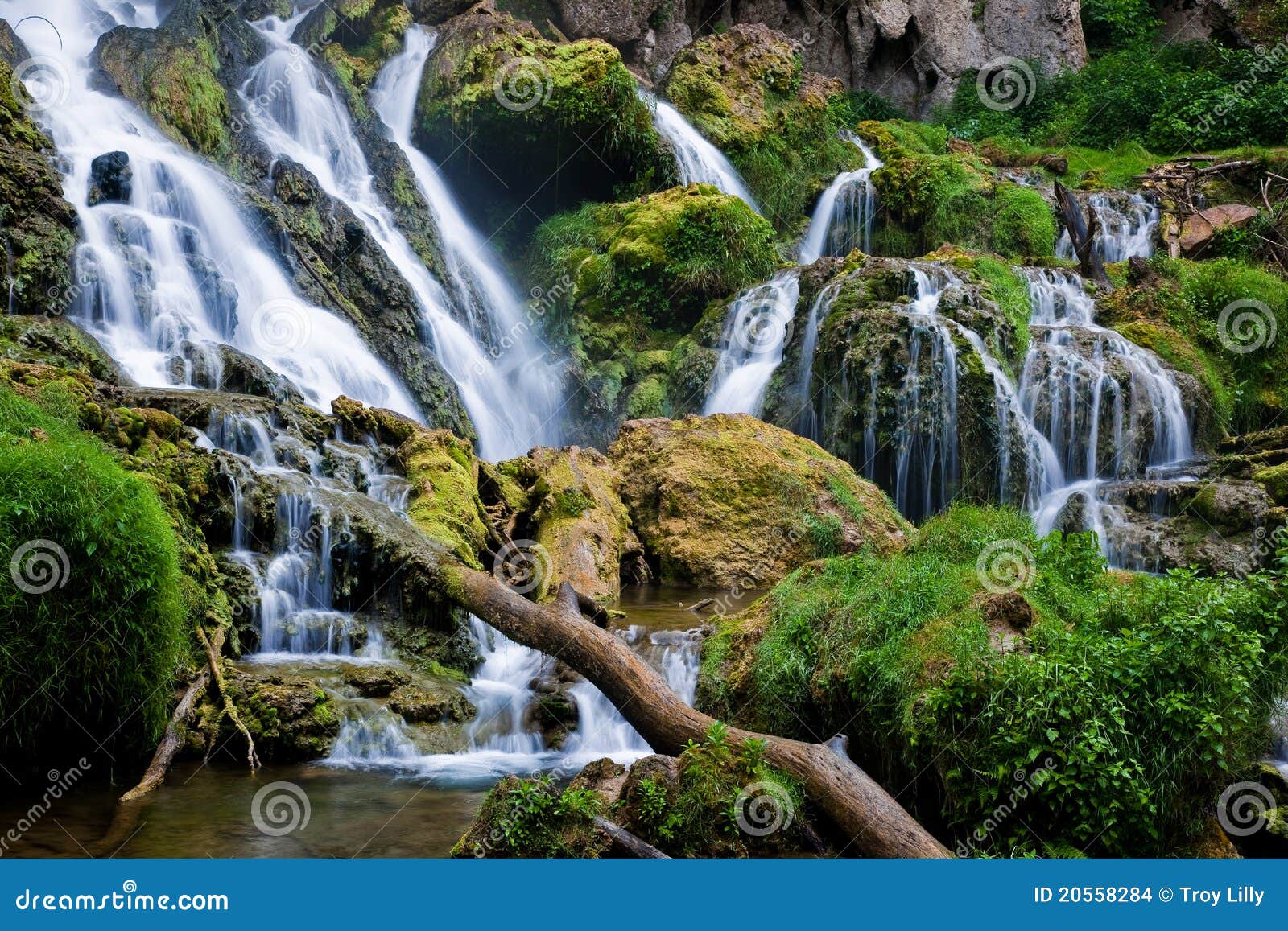 Scenic forest waterfall stock photo. Image of rocks, splashing - 20558284