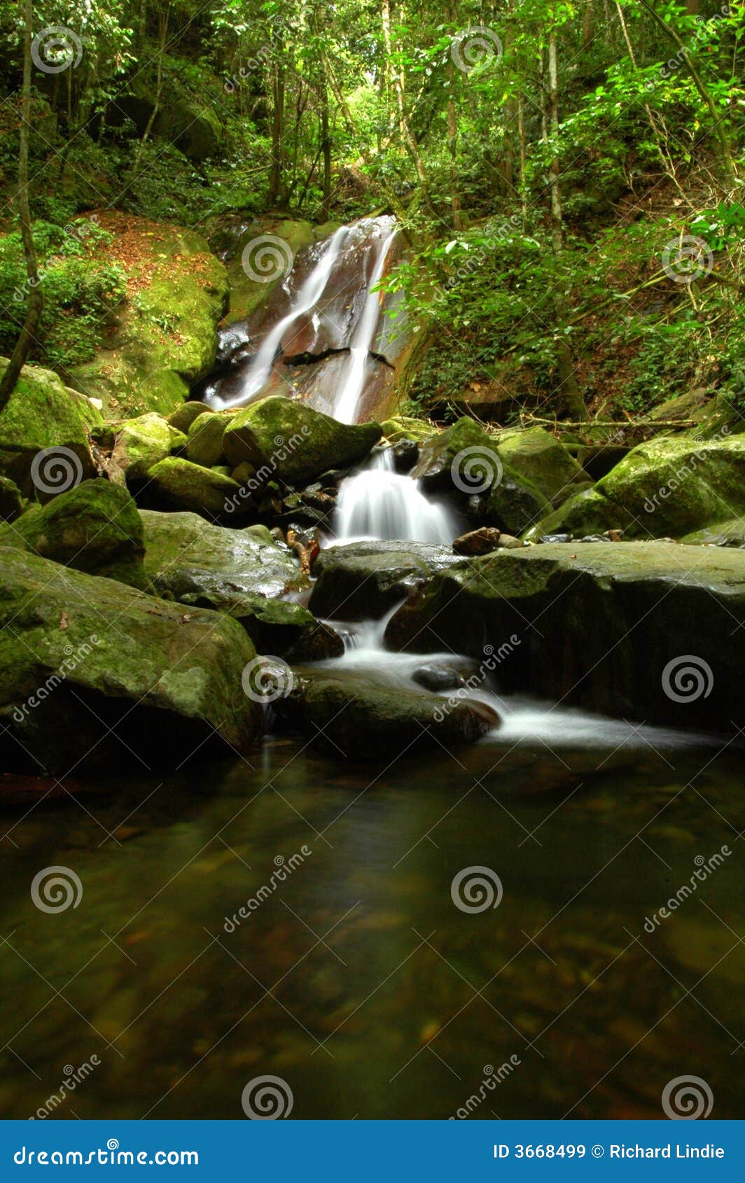 Scenic Forest Waterfall Zoomed Out Stock Image - Image of rocks ...