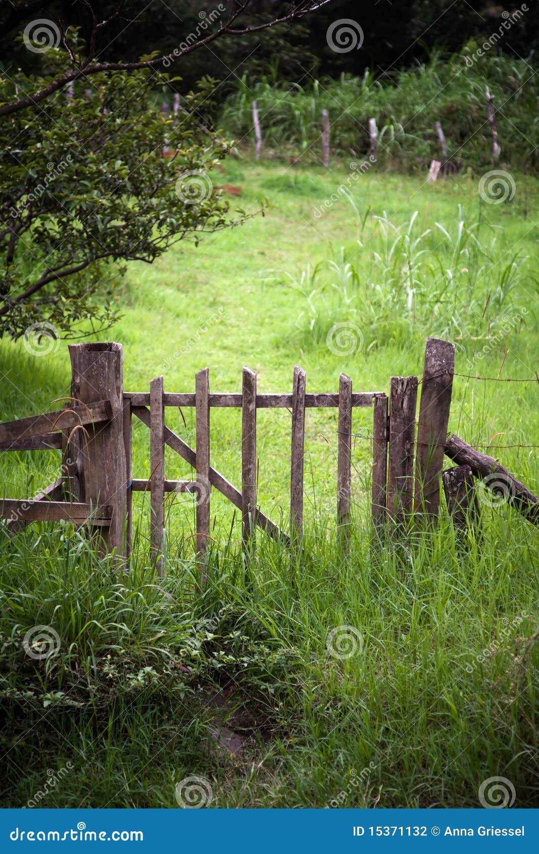 Scenic Gate in Costa Rica stock photo. Image of outside - 15371132