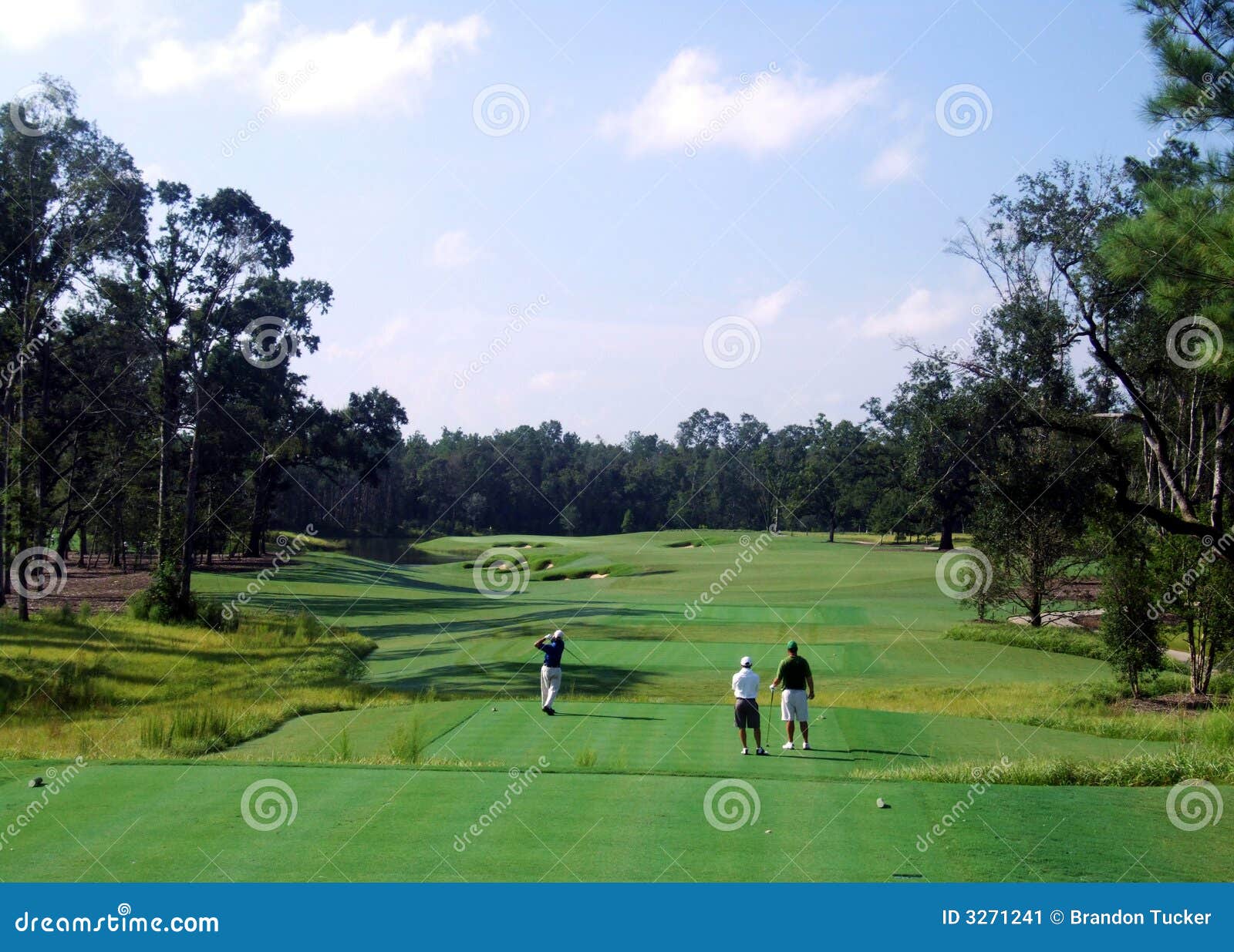 Scenic golf course stock image. Image of foursome, luxury - 3271241