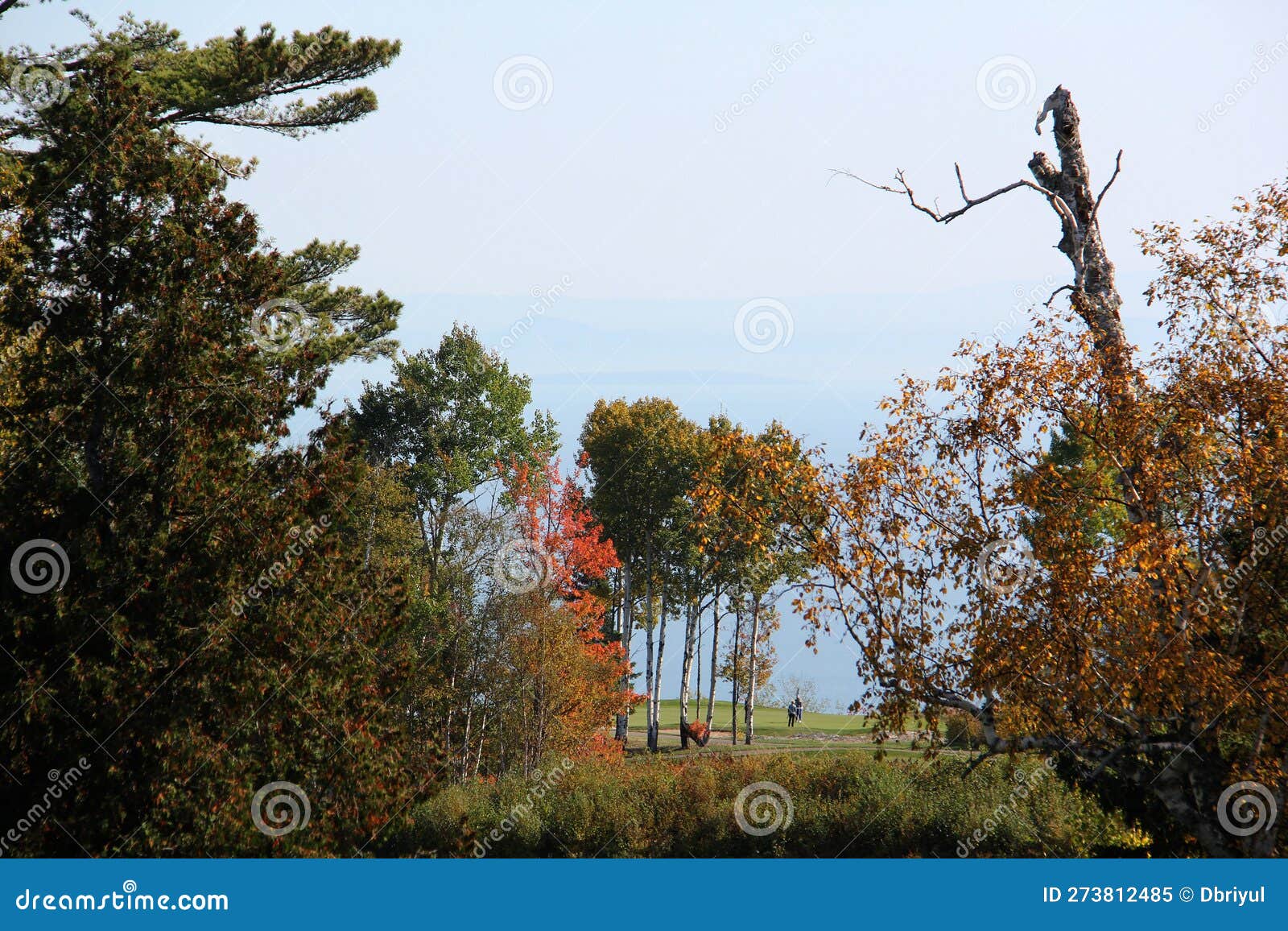 Scenic Golf Holes in the Fall Season Stock Image - Image of outside ...