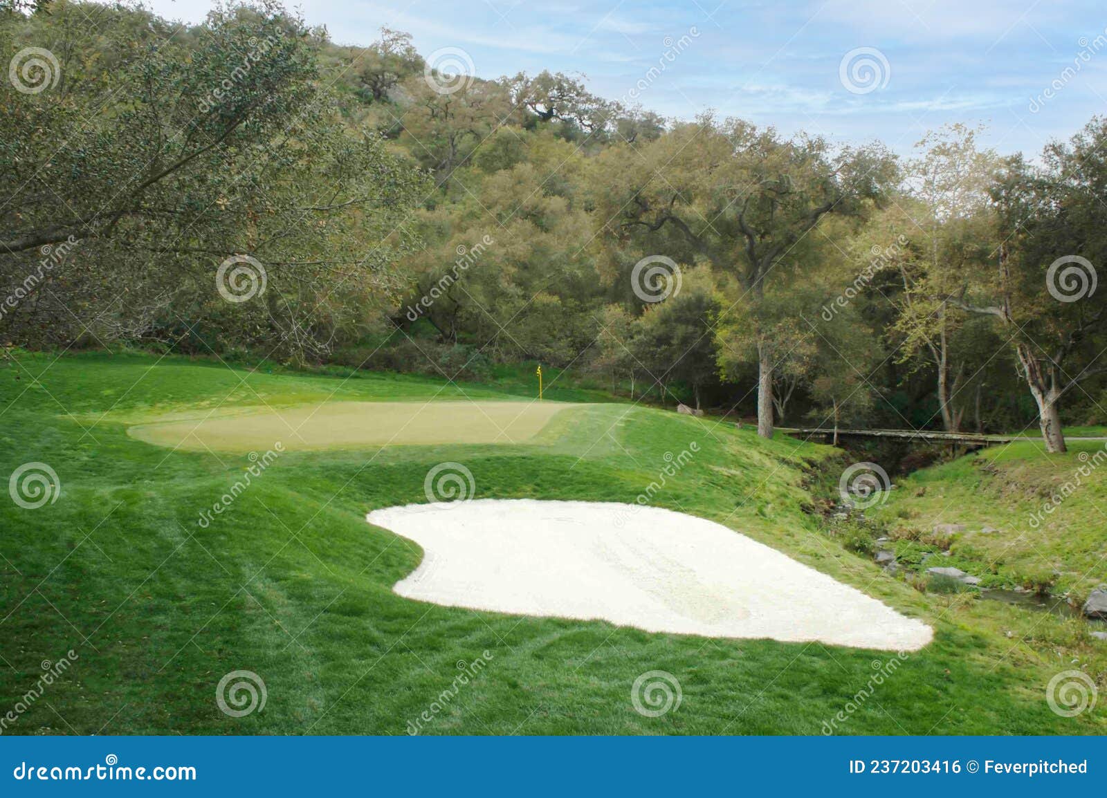 Scenic Grassy Golf Course Green and Flag Stock Photo - Image of fringe ...