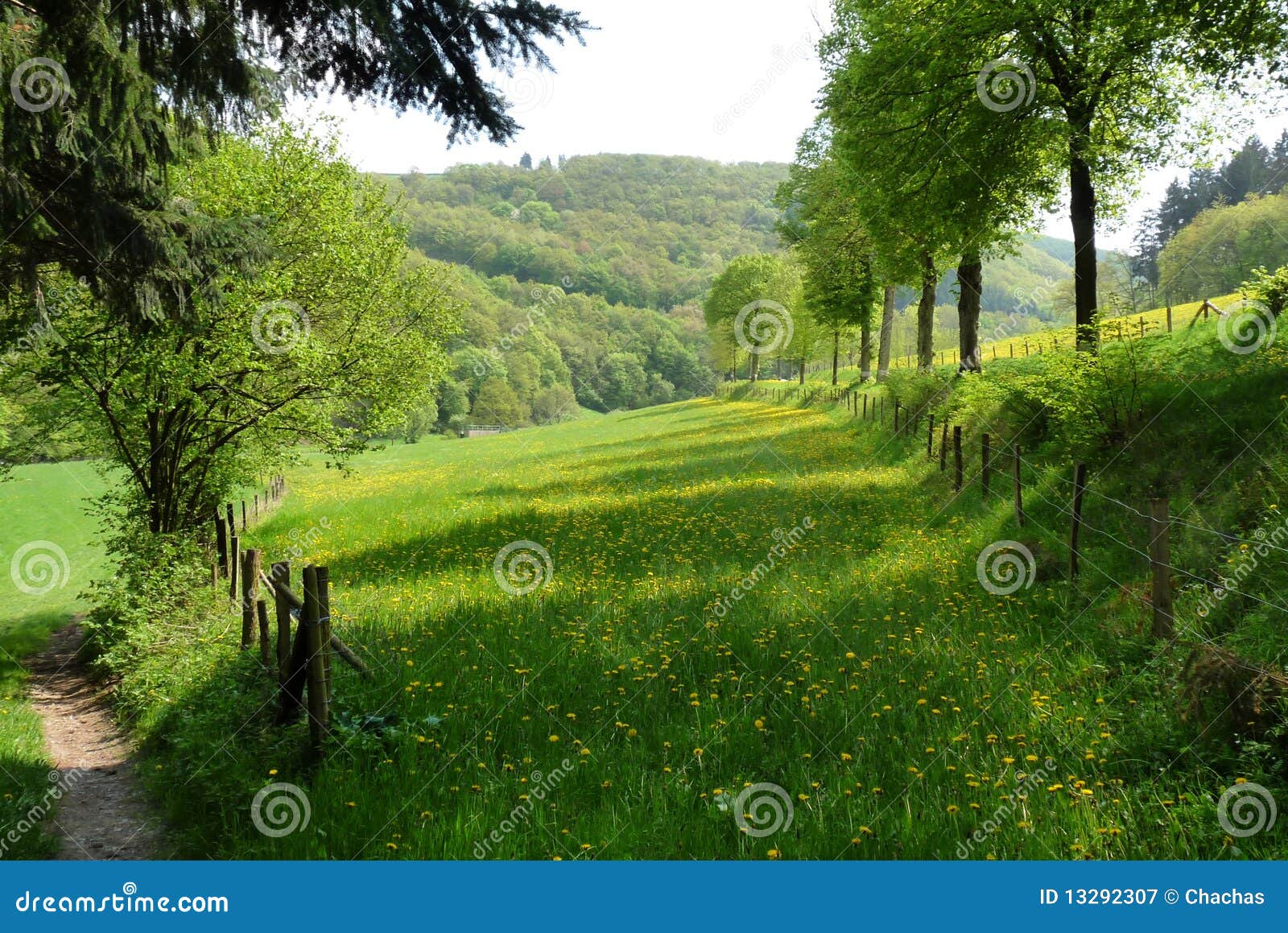Scenic green countryside stock image. Image of wood, outdoor - 13292307
