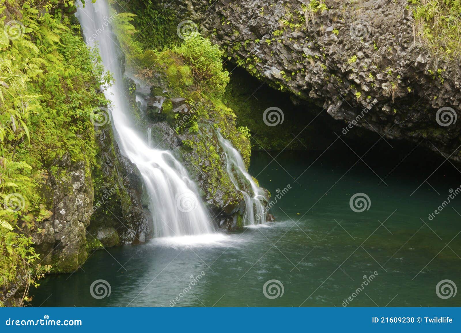 Scenic Hawaiian Waterfall stock photo. Image of river - 21609230