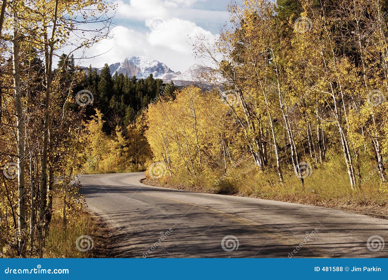 Scenic Highway stock photo. Image of travel, yellow, leaves - 481588