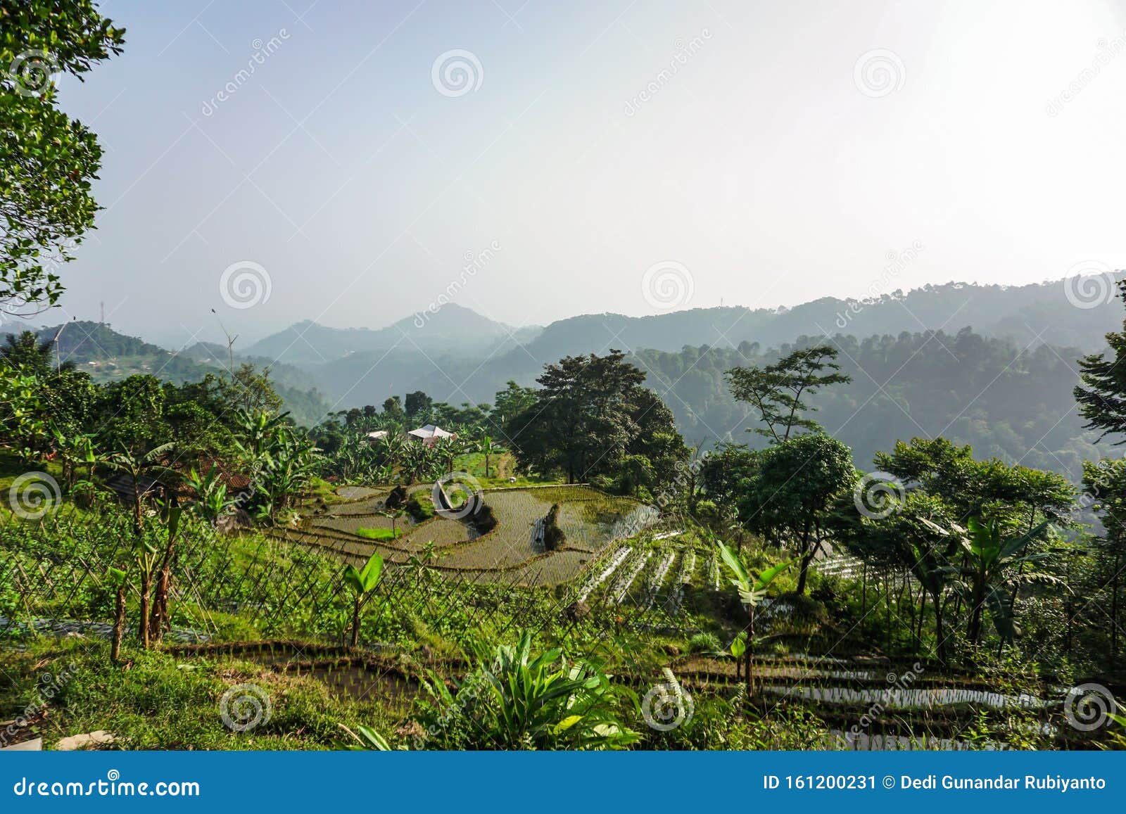 Scenic Hill Tour with Beautiful Scenery in Bogor, West Java, Indonesia ...