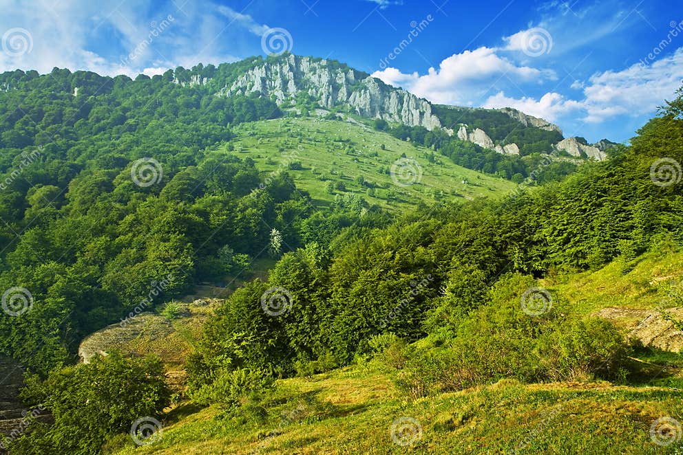 Scenic hillside landscape stock image. Image of rolling - 7205379