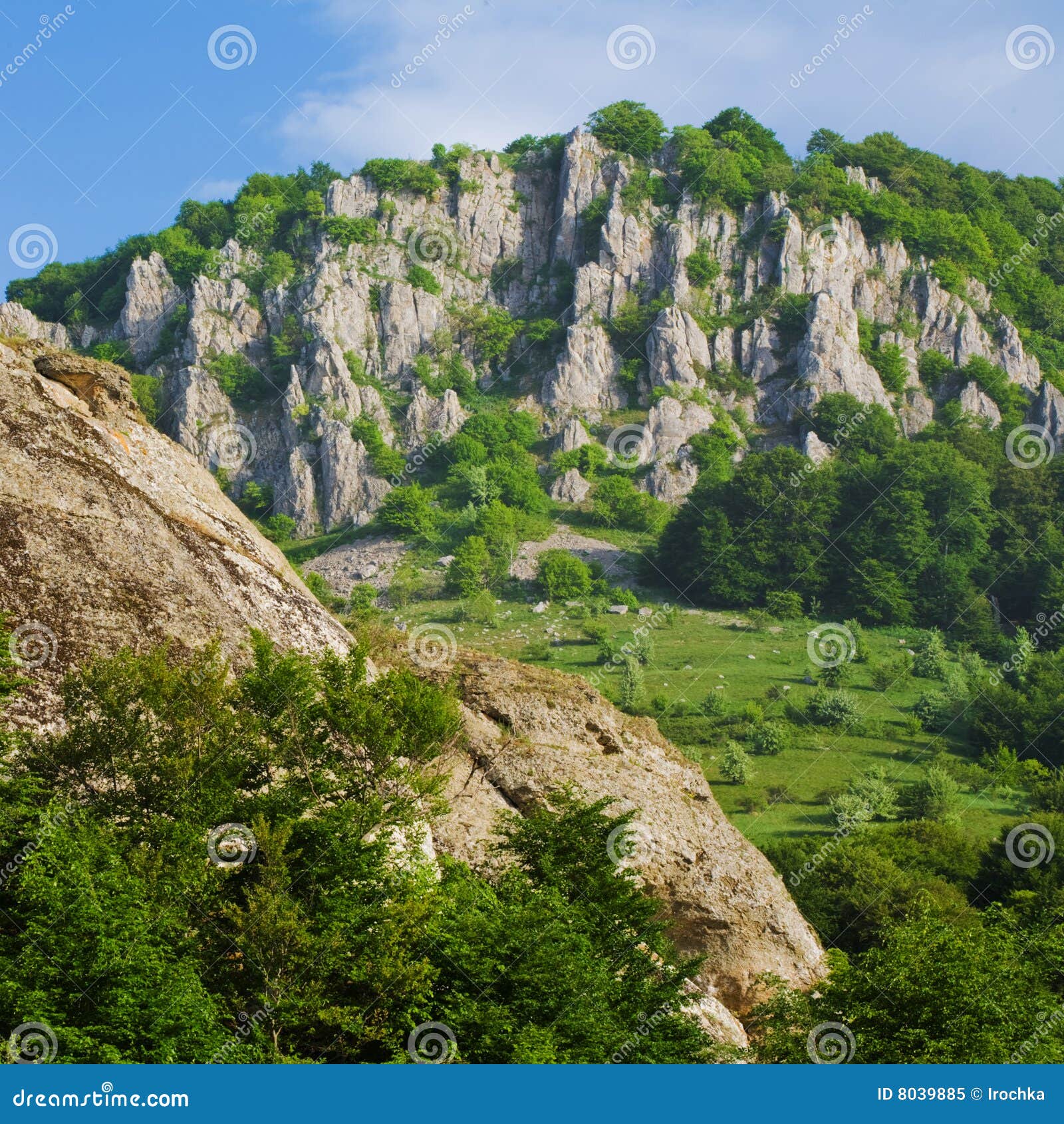 Scenic hillside landscape stock image. Image of trees - 8039885