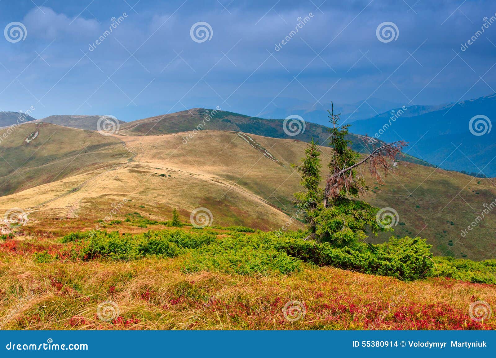 Scenic Hillside of Mountain. Stock Photo - Image of field, nature: 55380914