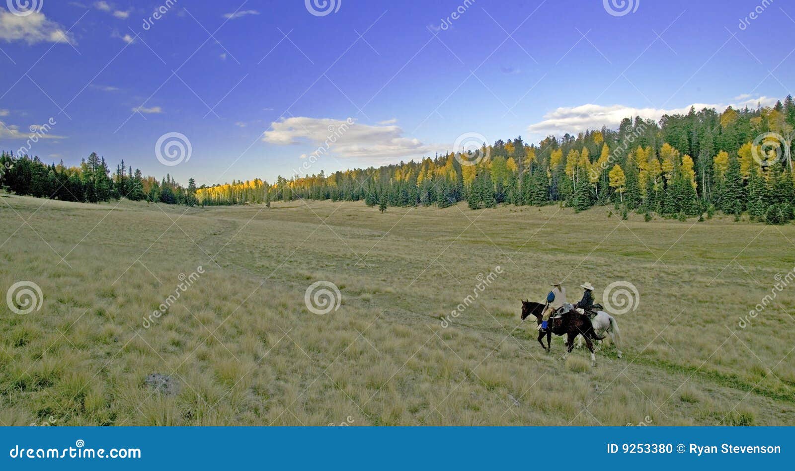 Scenic Horseback Riding stock photo. Image of autumn, trail - 9253380