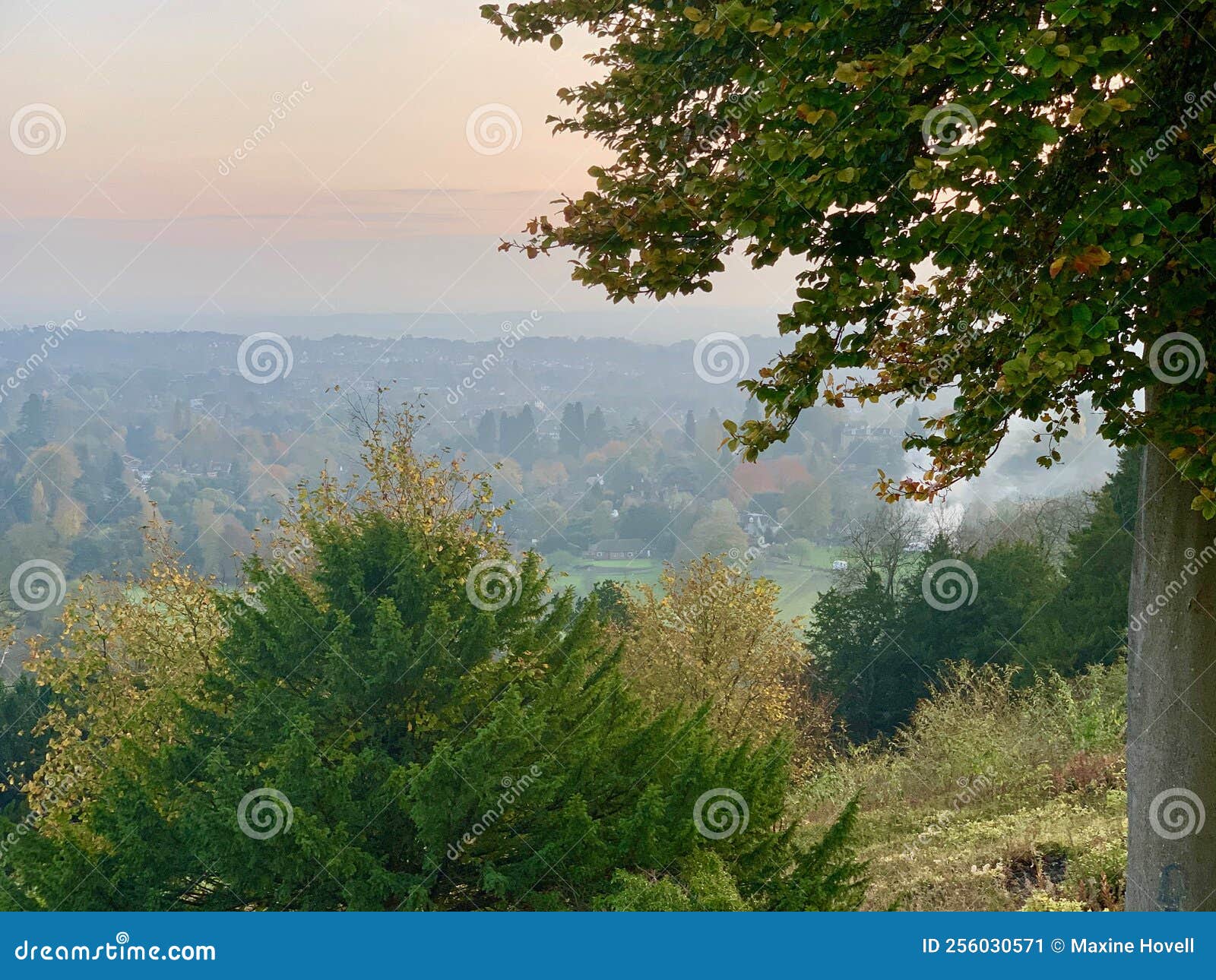 View from a hill top stock image. Image of landscape - 256030571