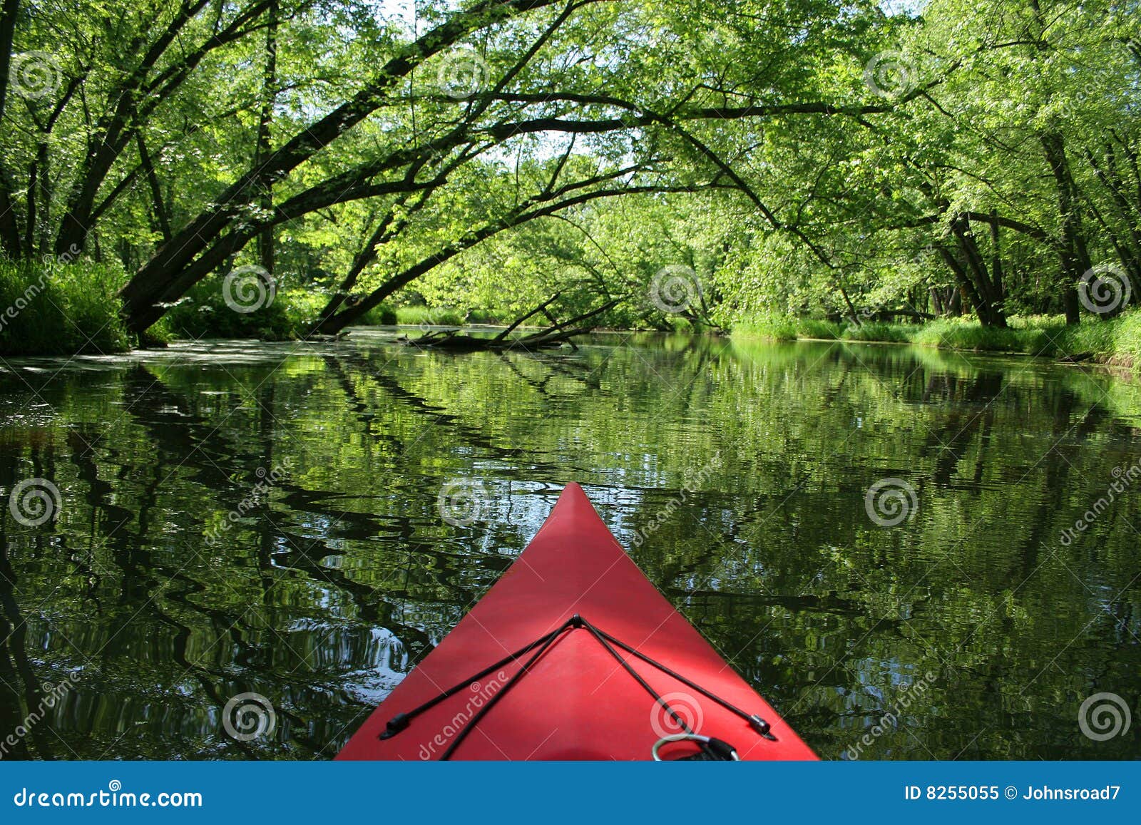 Scenic Kayaking stock image. Image of reflection, scenic - 8255055