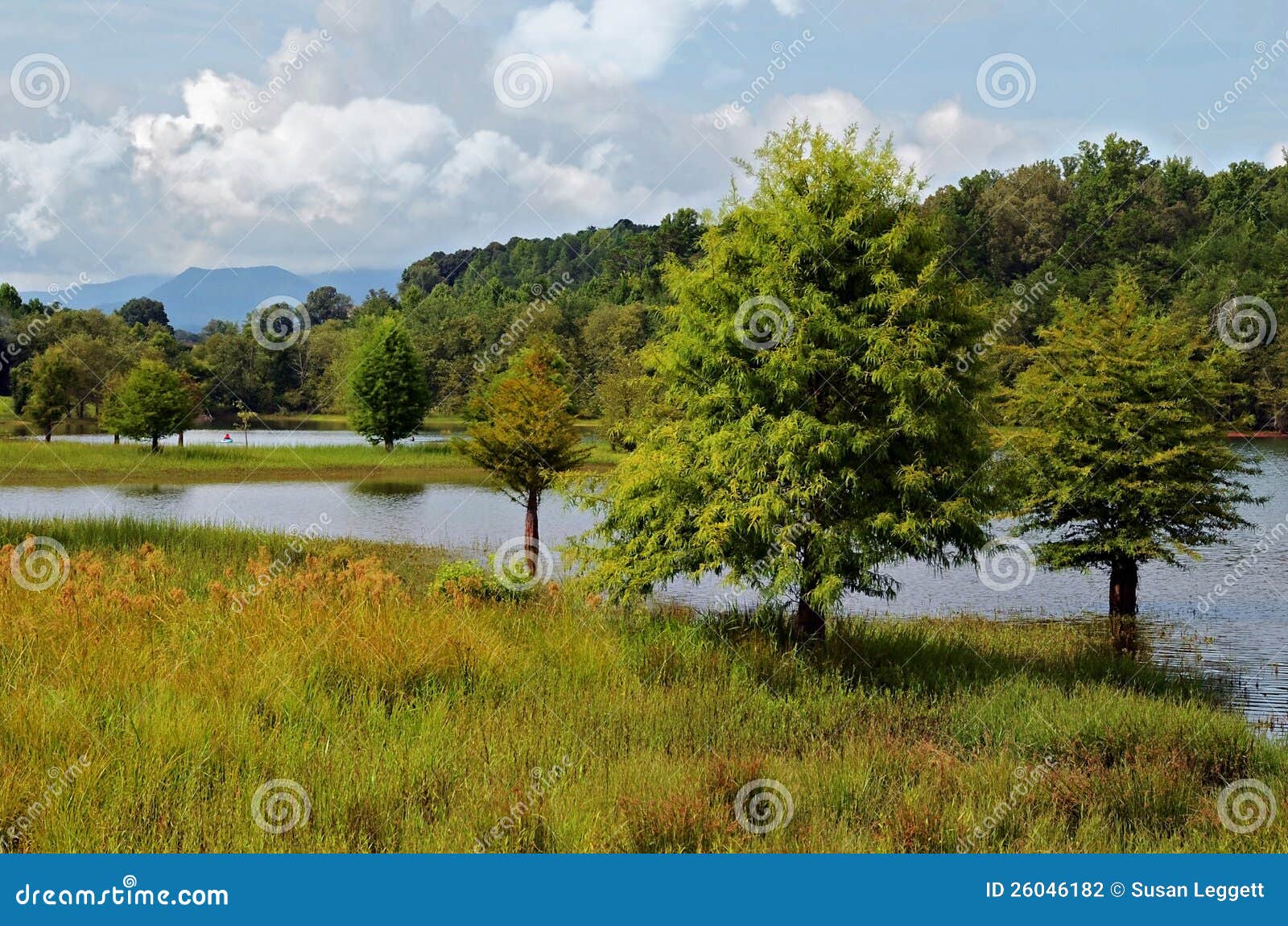 Scenic Lake with Mountains stock photo. Image of trees - 26046182