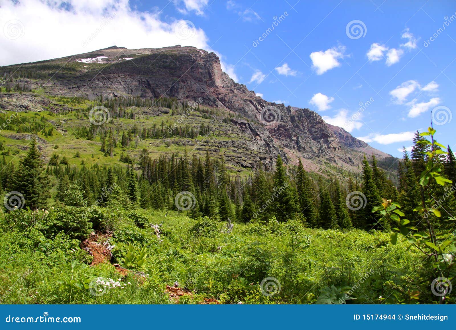 Scenic landscape stock photo. Image of landscape, hill - 15174944