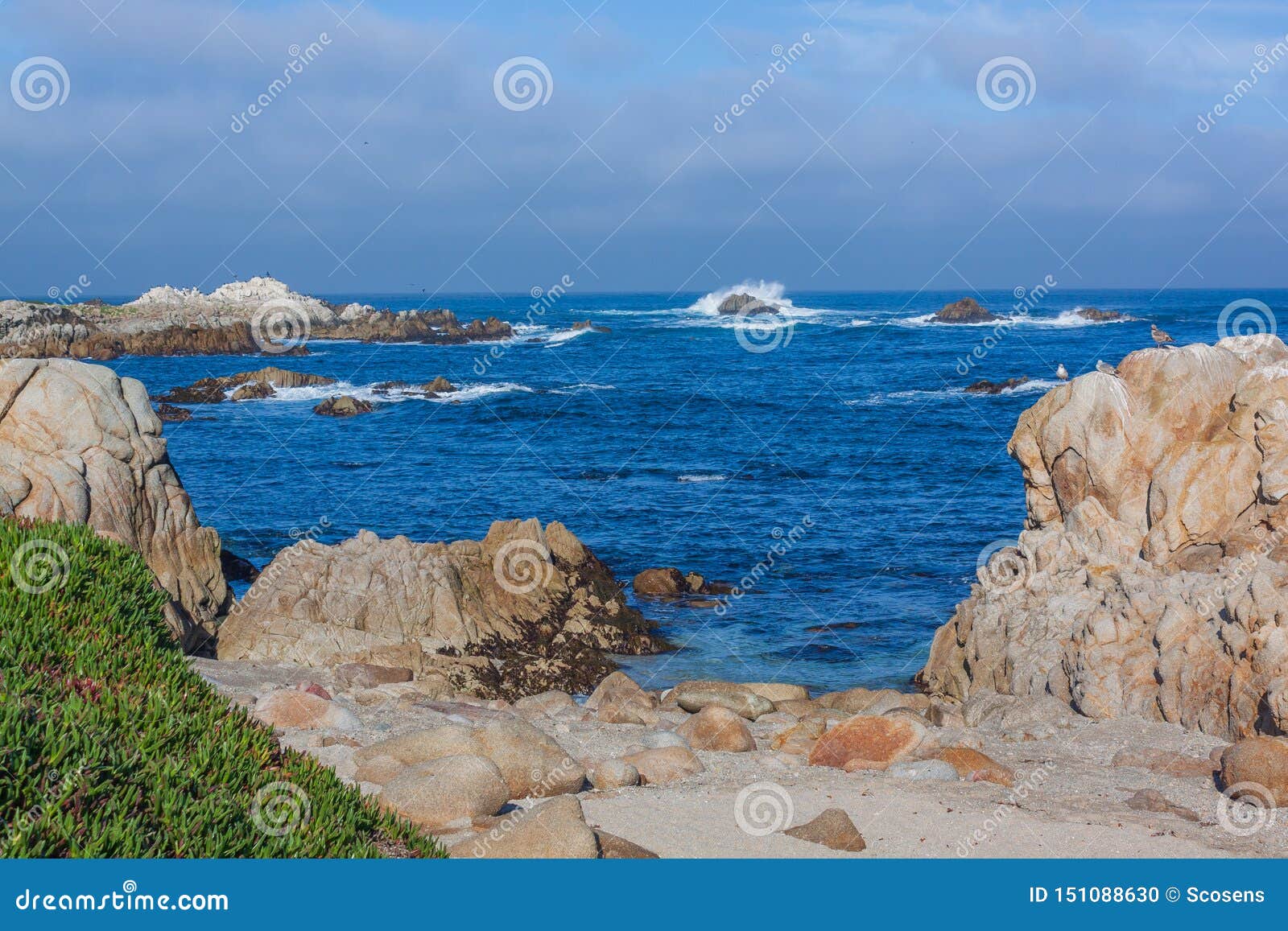 Scenic Landscape on the California Coast Stock Photo - Image of scenic ...