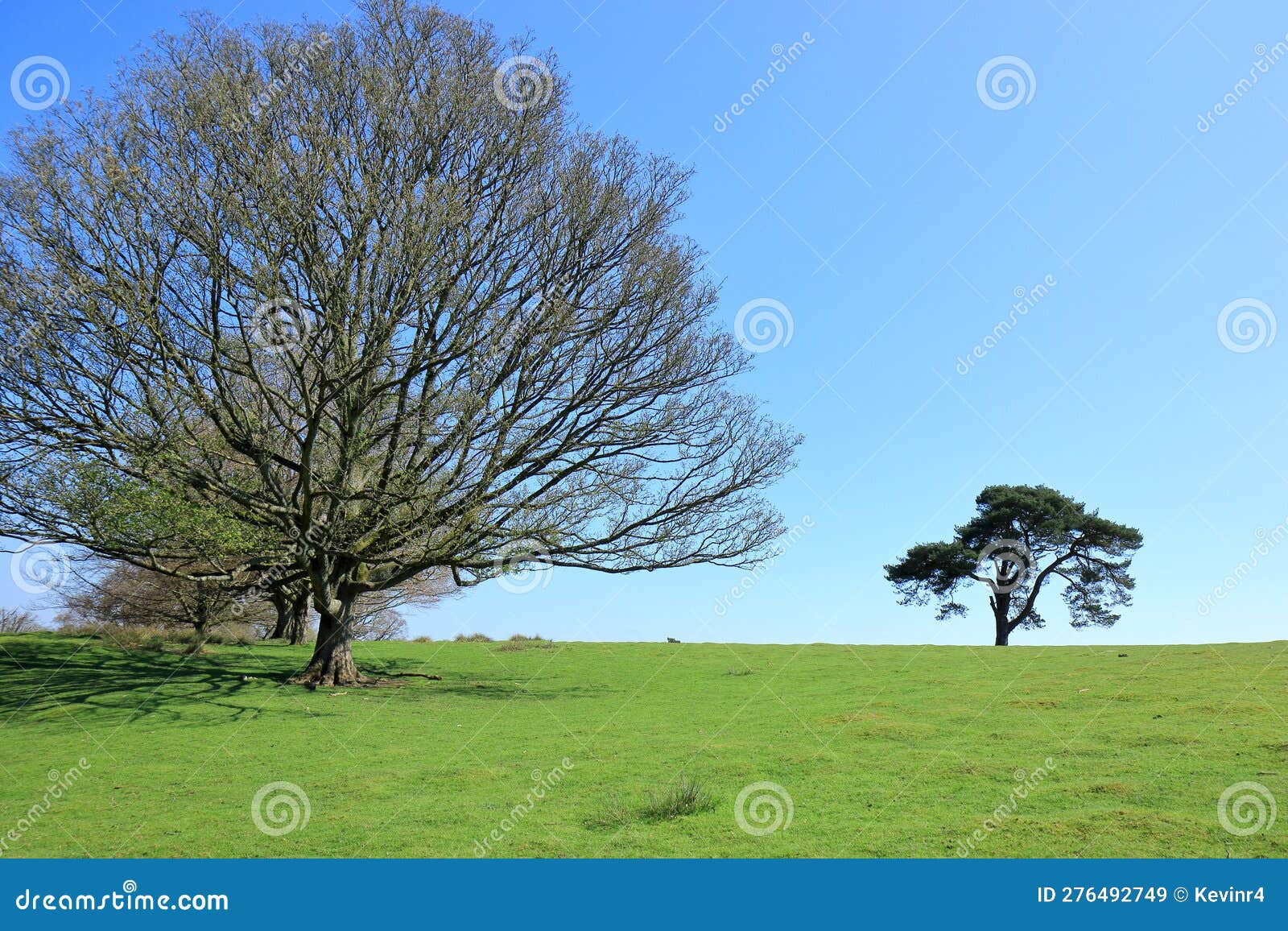 Scenic Landscape in the Kent Countryside Stock Image - Image of ...