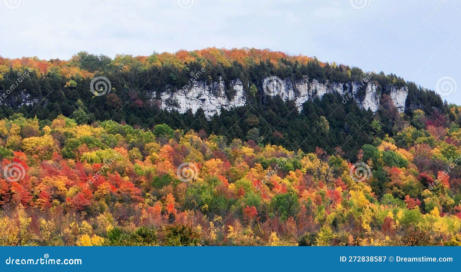 Scenic Landscape of a Lush Hill Covered with Trees Stock Image - Image ...
