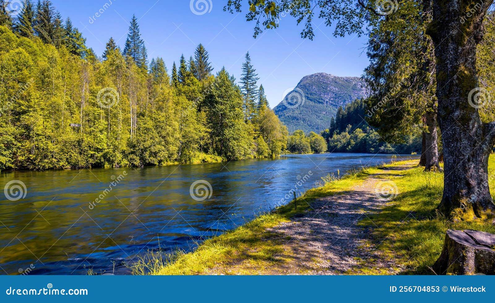 Scenic Landscape with a River and a Forest Stock Image - Image of ...
