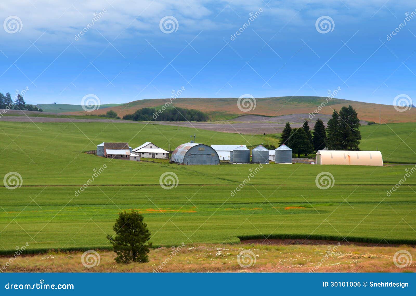 Scenic landscape stock photo. Image of rural, washington - 30101006