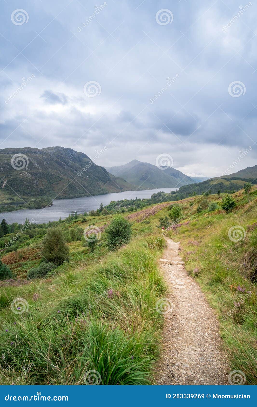 Scenic Landscape View of Mountain, Forest with Path Stock Image - Image ...