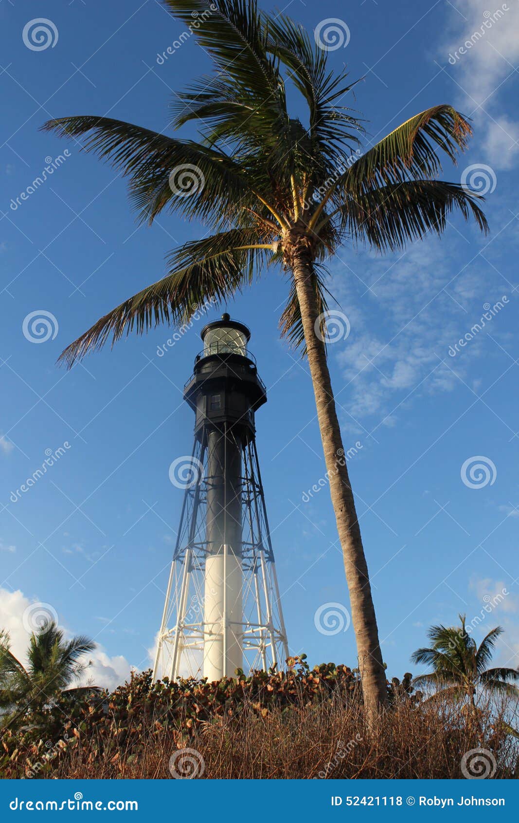 Scenic Lighthouse Palm Tree Beach Florida Stock Photo - Image of ...