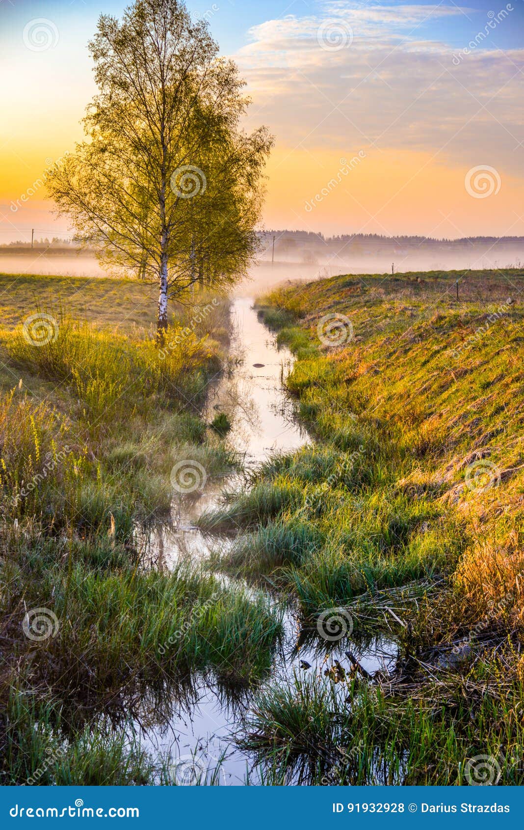Scenic Lithuanian Landscape Stock Photo - Image of meadow, landscape ...