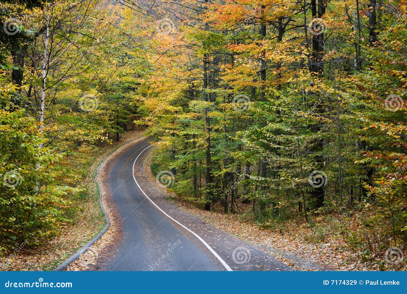 Scenic Loop Road, Sleeping Bear Dunes Stock Image - Image of scenic ...