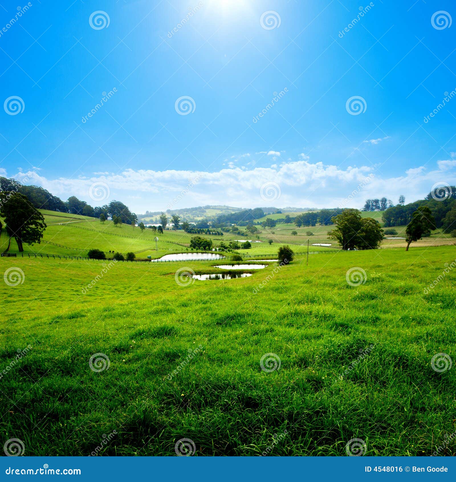 Scenic Meadow stock photo. Image of holiday, gorgeous - 4548016