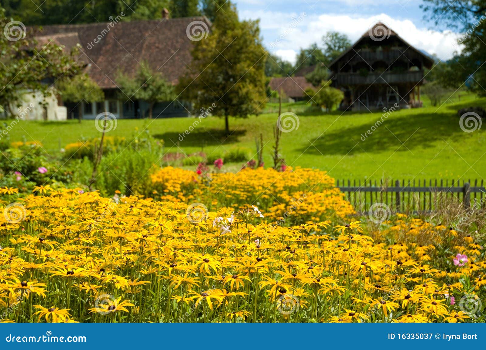 Scenic Meadow in Ballenberg, Switzerland Stock Image - Image of ...