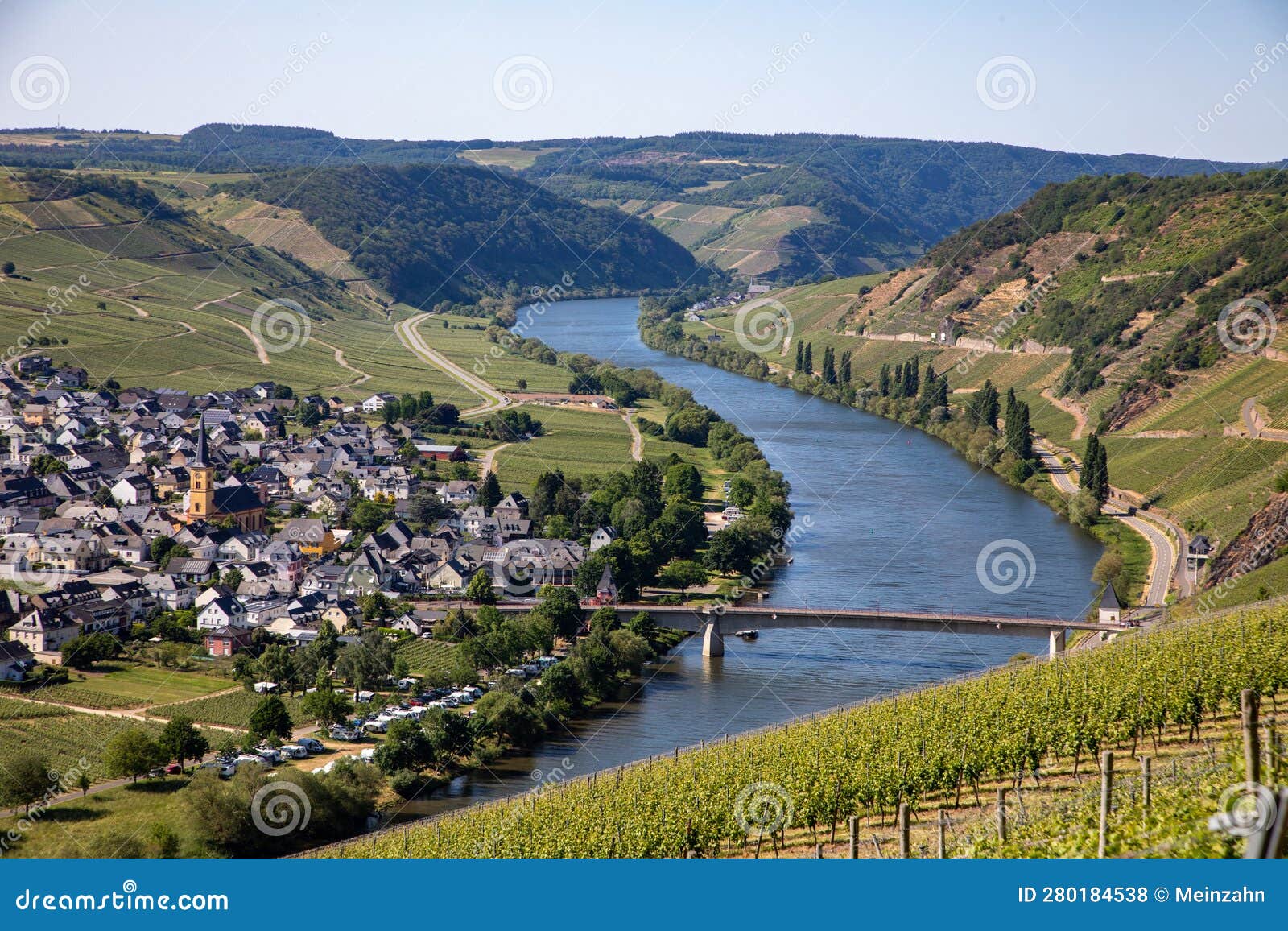 Scenic Mosel River Loop at Trittenheim, with Green Vineyards Stock ...