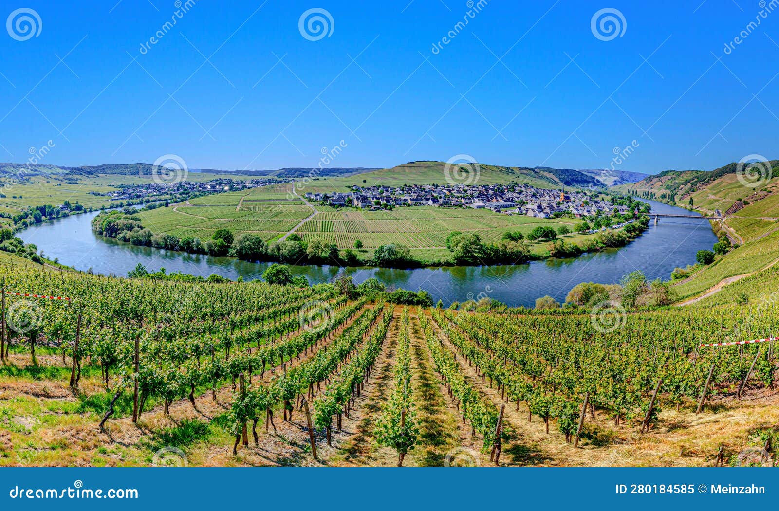Scenic Mosel River Loop at Trittenheim, with Green Vineyards Stock ...