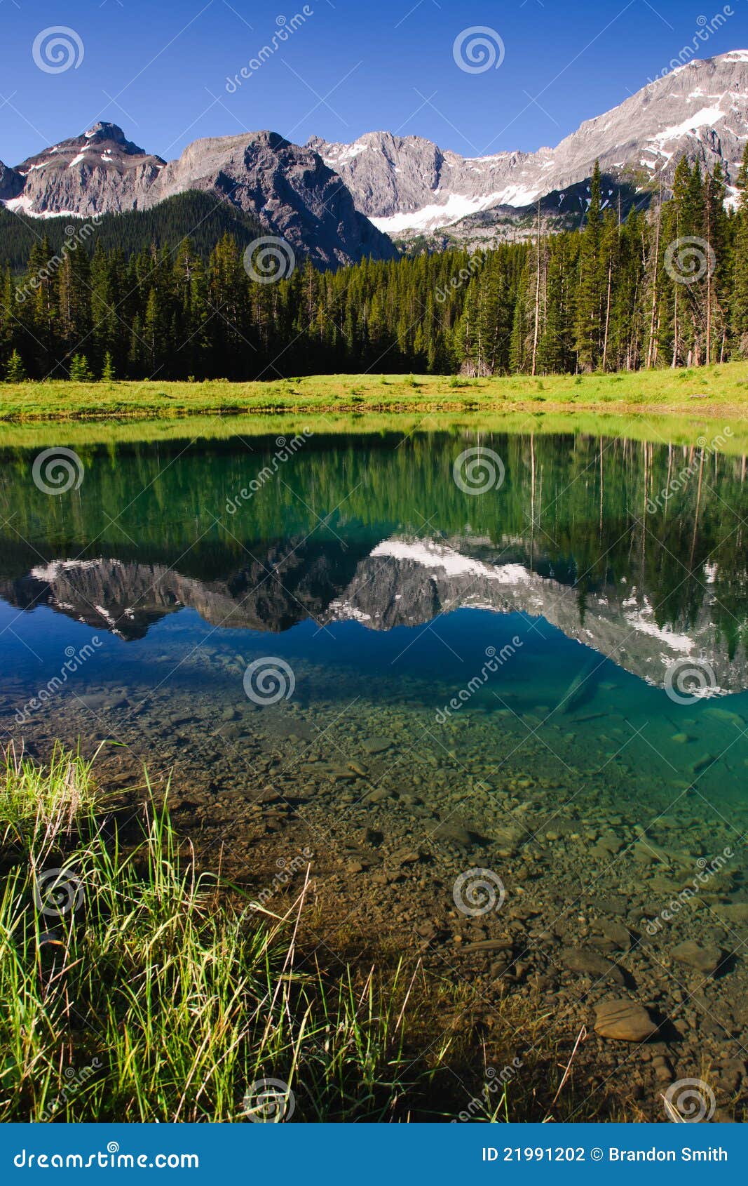 Scenic Mountain Lake stock photo. Image of forest, environment - 21991202